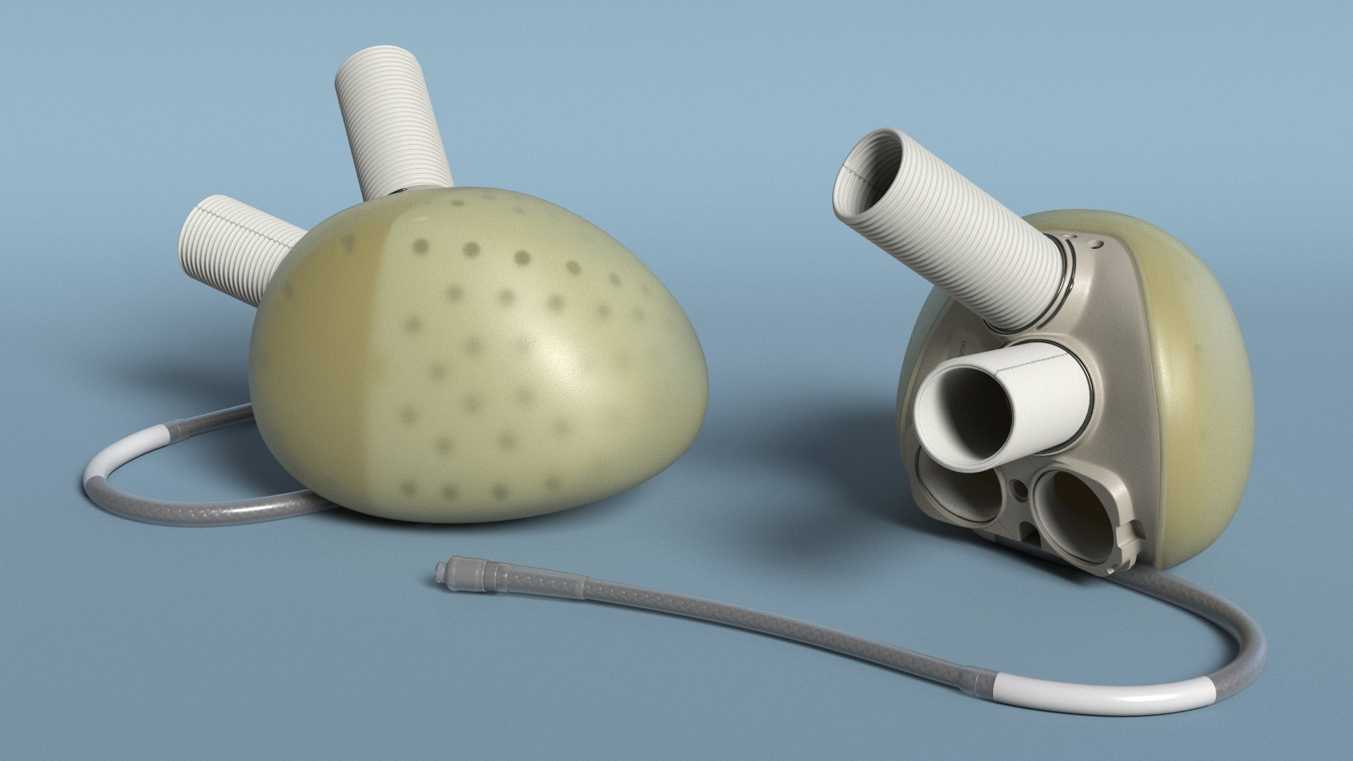 Total Artificial Heart Prosthesis With Dual Outflow Ports 3D Model ...