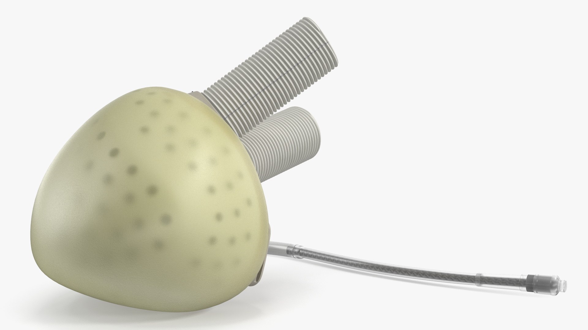 Total Artificial Heart Prosthesis With Dual Outflow Ports 3D Model ...