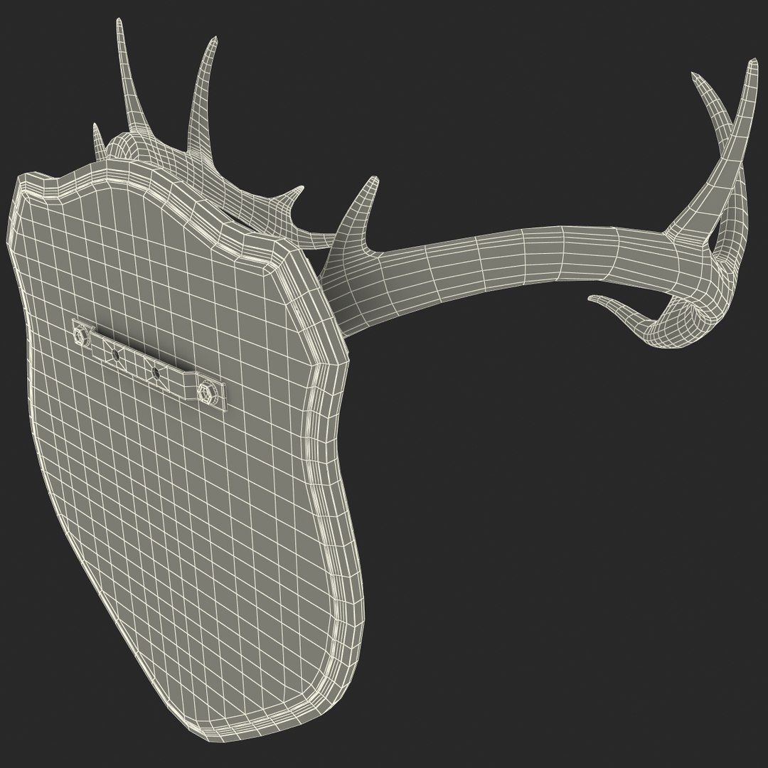 mounted deer antlers 3d model