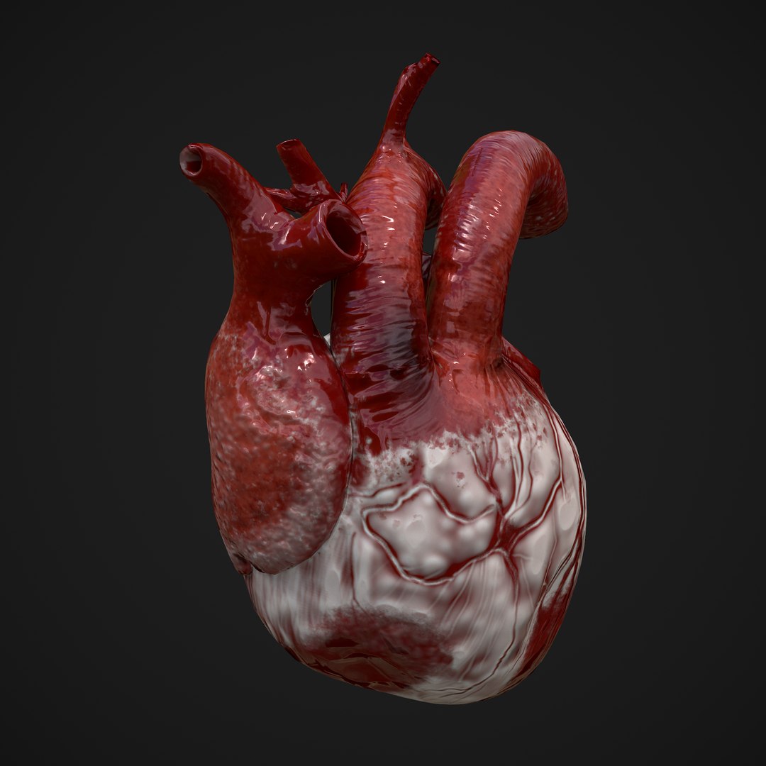 3D Heart - TurboSquid 1734085