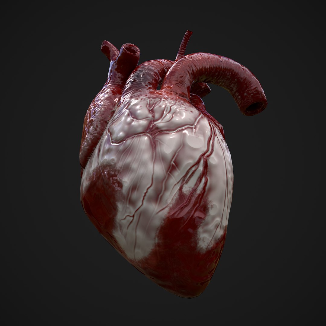 3D Heart - TurboSquid 1734085