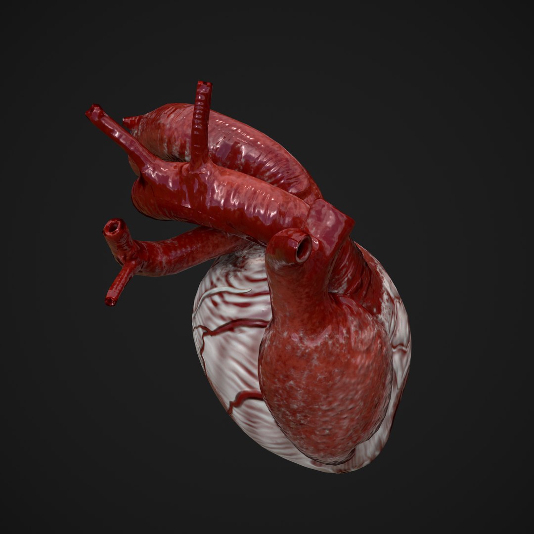 3D Heart - TurboSquid 1734085