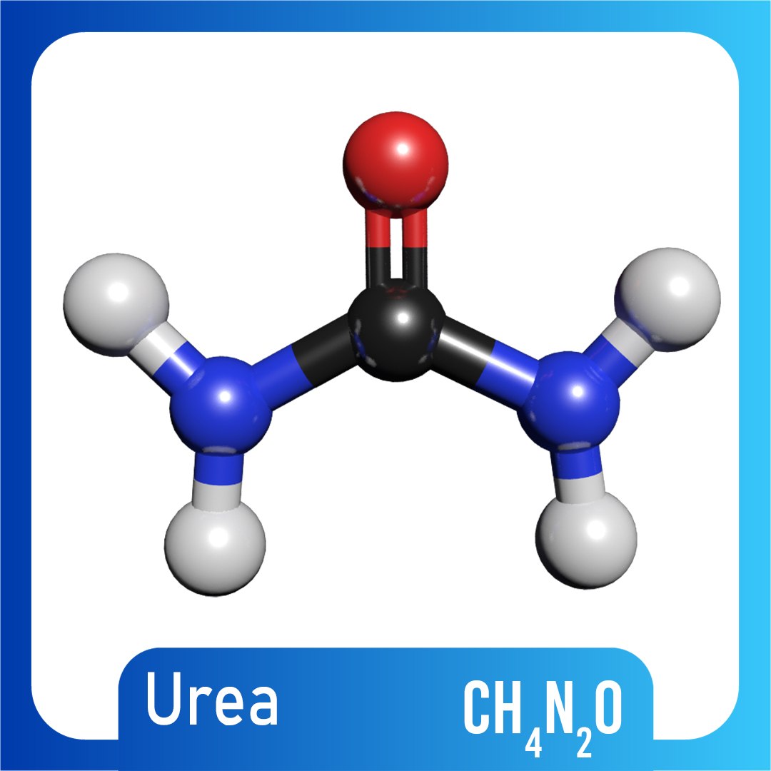 3D Urea Molecule Ch4n2o Model - TurboSquid 1427228