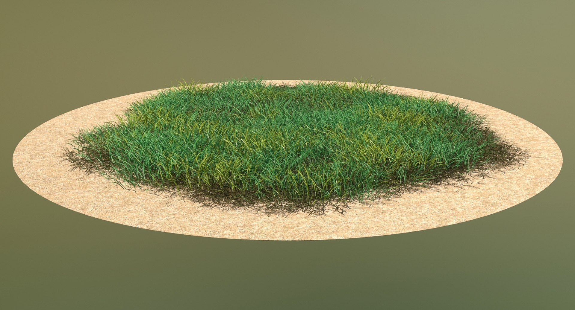 3d model of grass corona-rendering