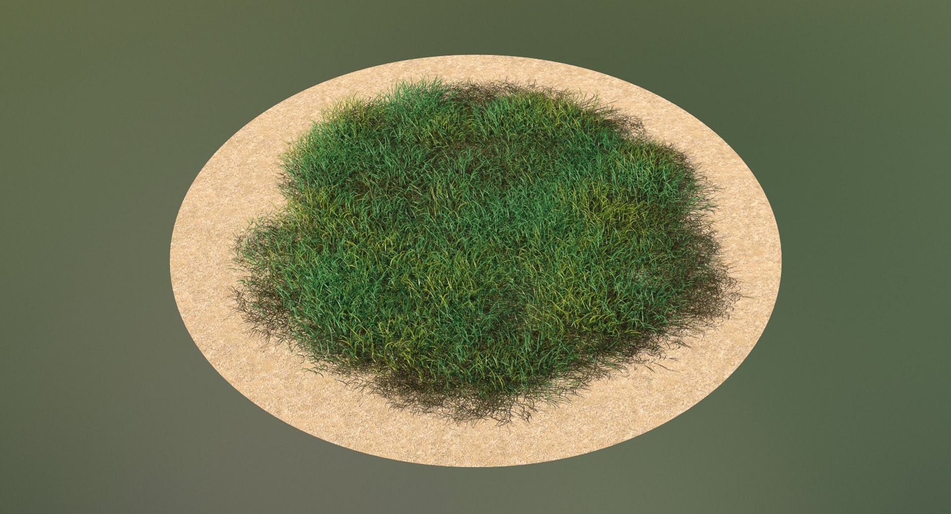 3d model of grass corona-rendering