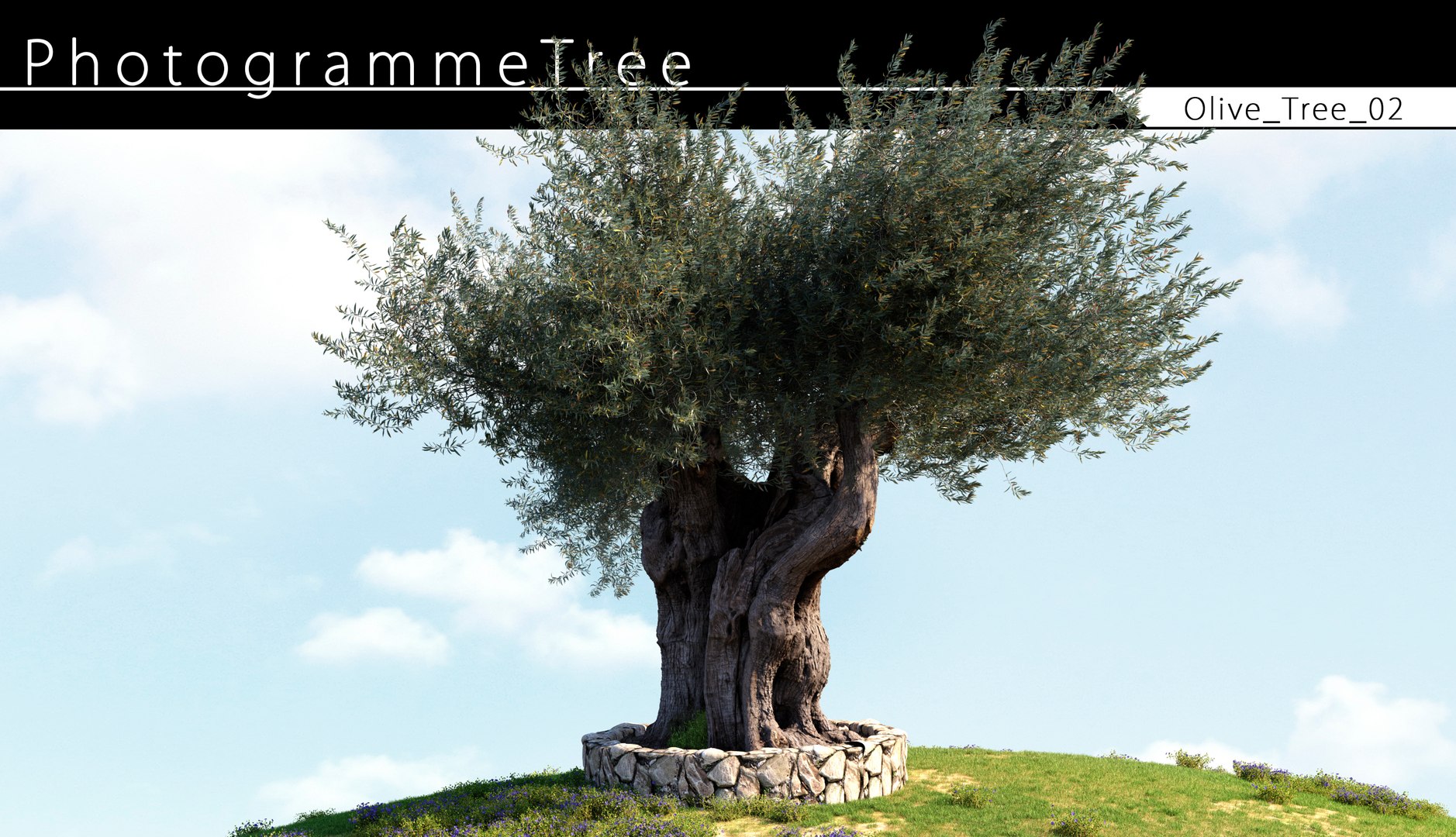 Olive Tree 3D - TurboSquid 1408807