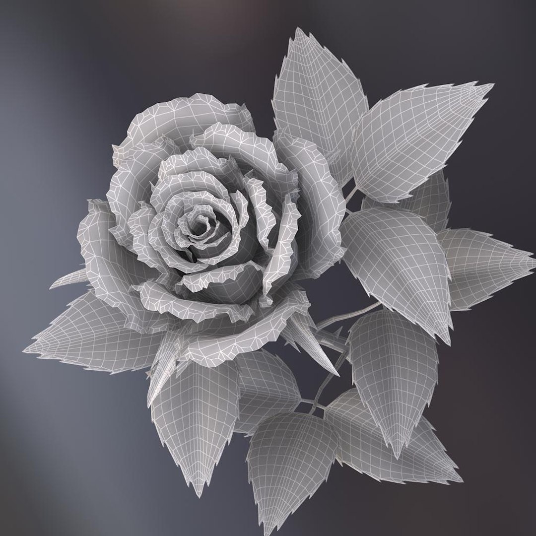 3D Rose V7 - TurboSquid 1160358