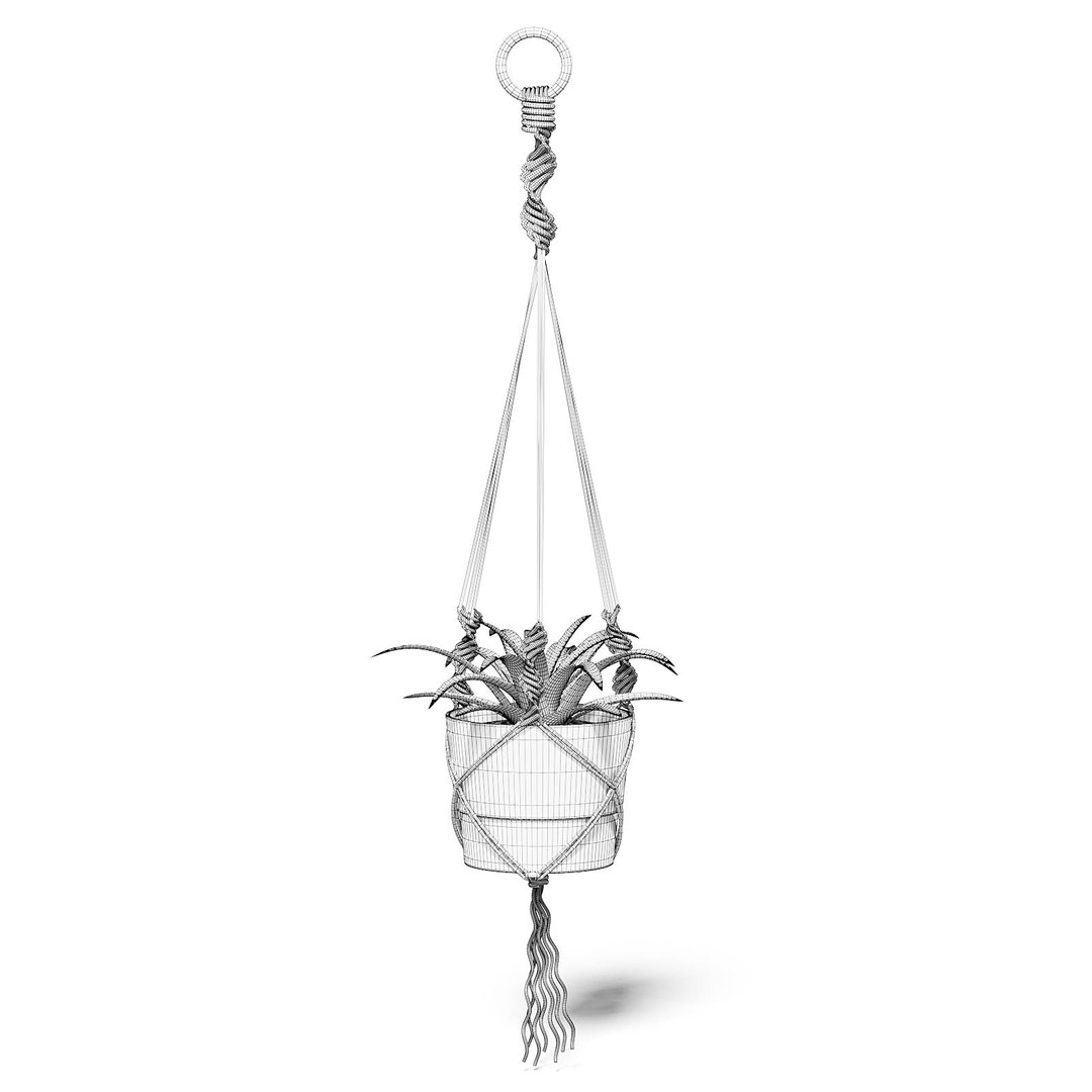 3D Plant White Hanging Pot Model - TurboSquid 1386811