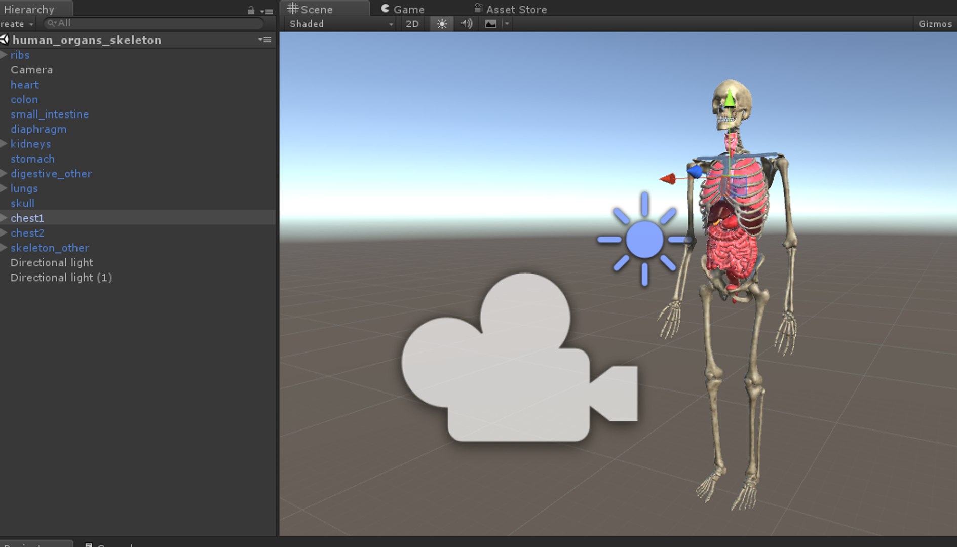 3D Human Anatomy Animated Unity Included Model - TurboSquid 2342834