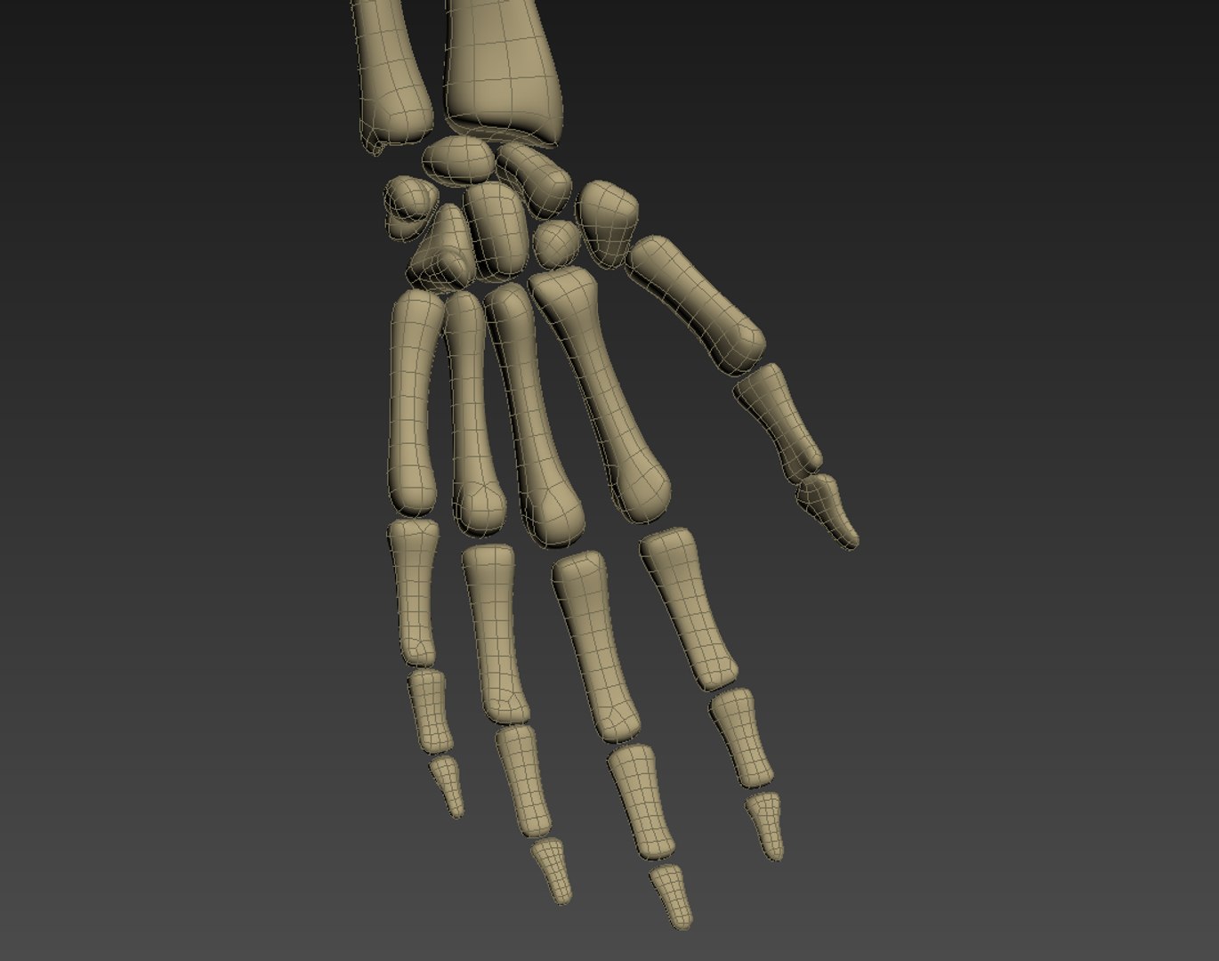 3D Human Anatomy Animated Unity Included Model - TurboSquid 2342834