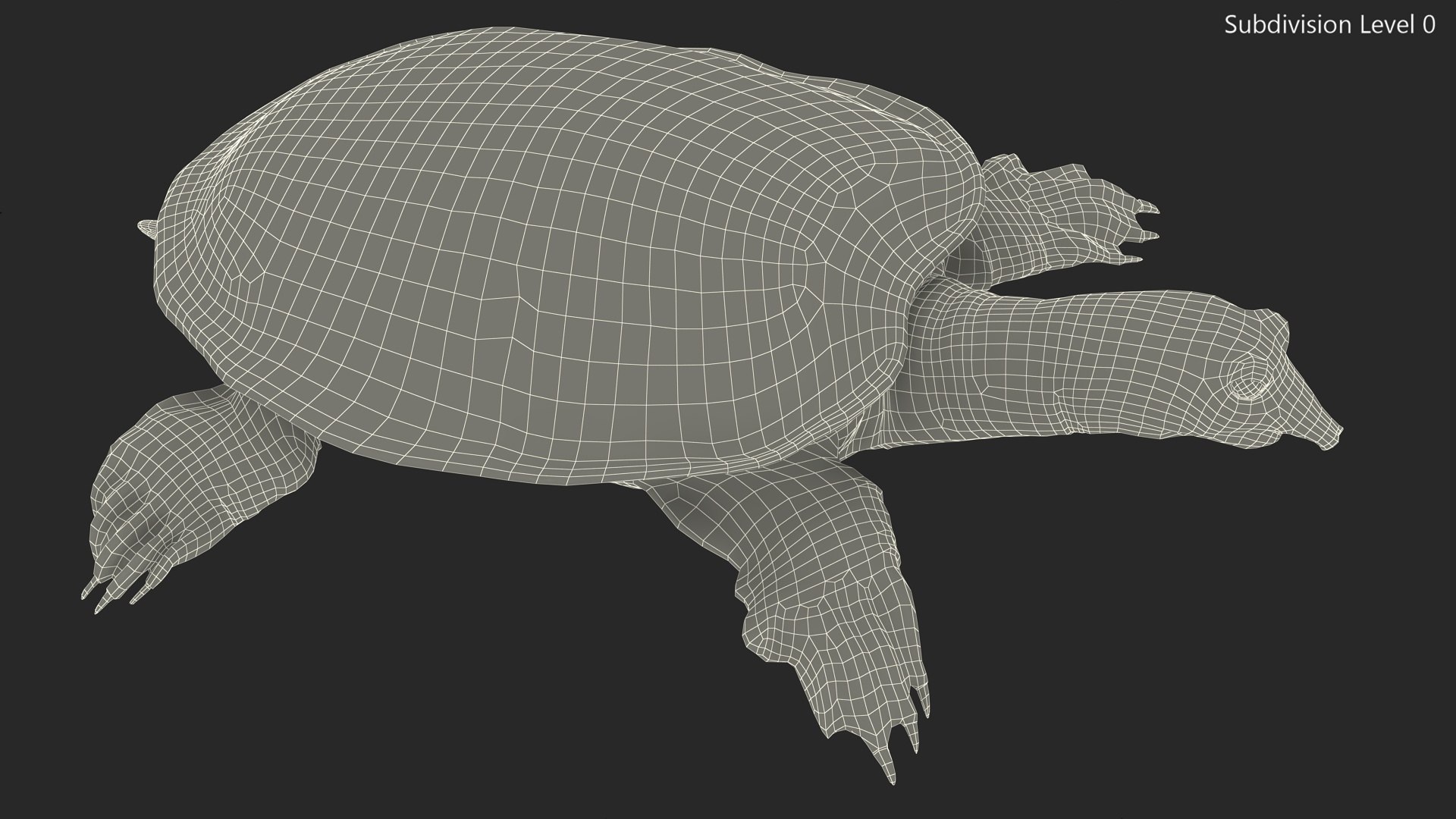 Realistic Chinese Softshell Turtle 3D Model - TurboSquid 2218377