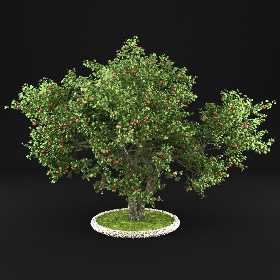 3D Apple Tree - TurboSquid 1159258