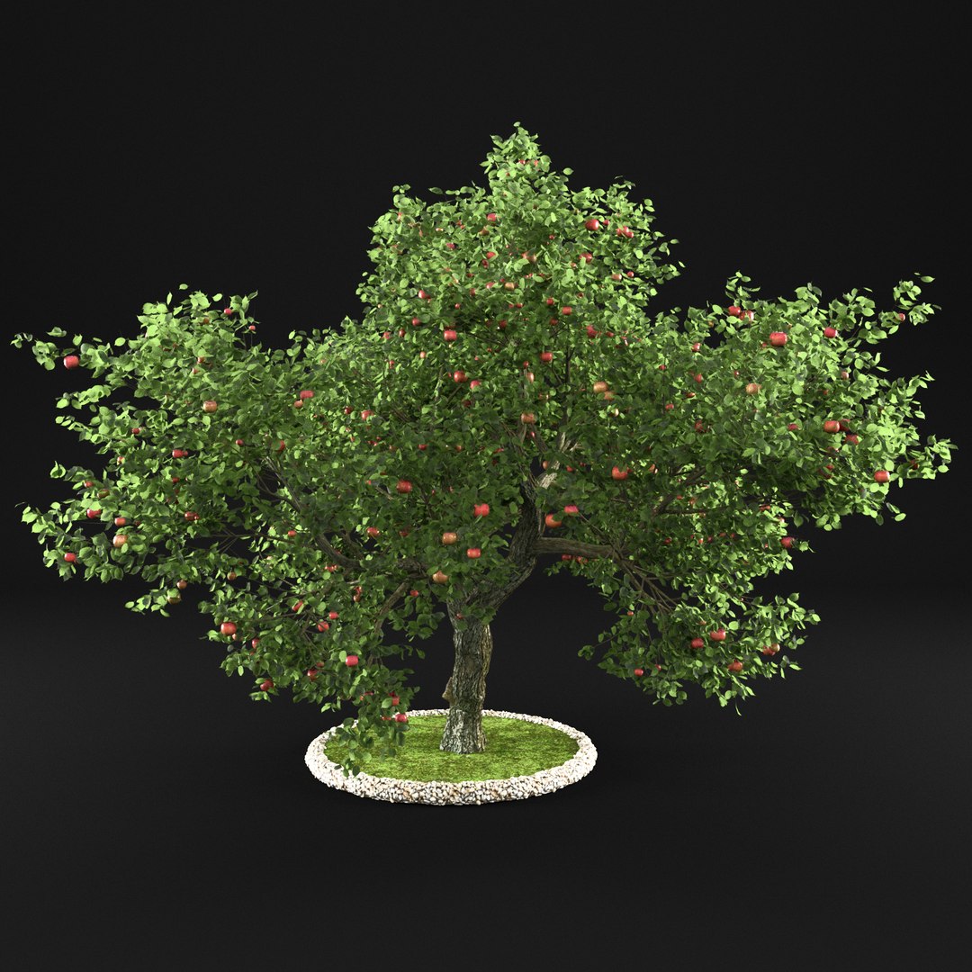 3D Apple Tree - TurboSquid 1159258