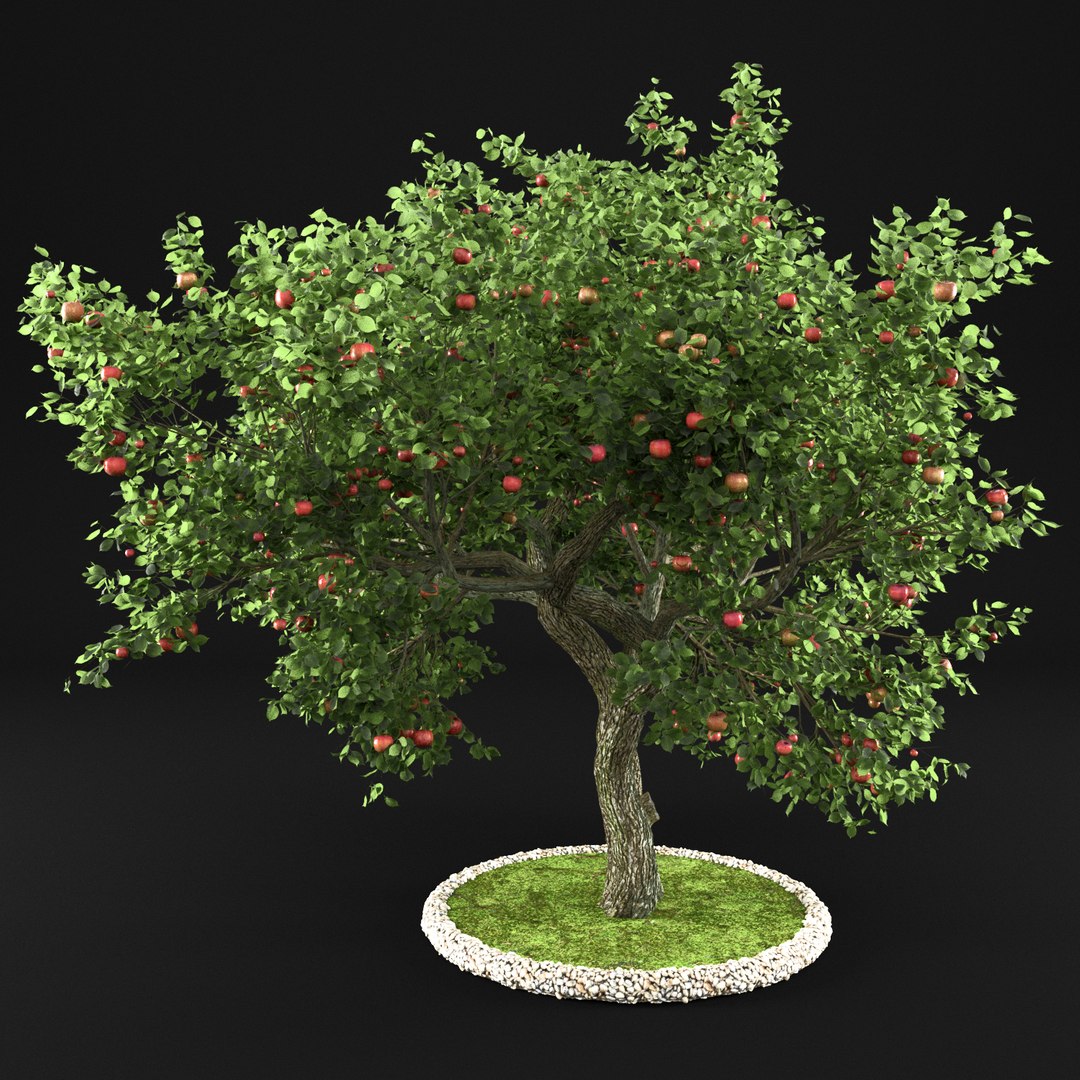 3D Apple Tree - TurboSquid 1159258