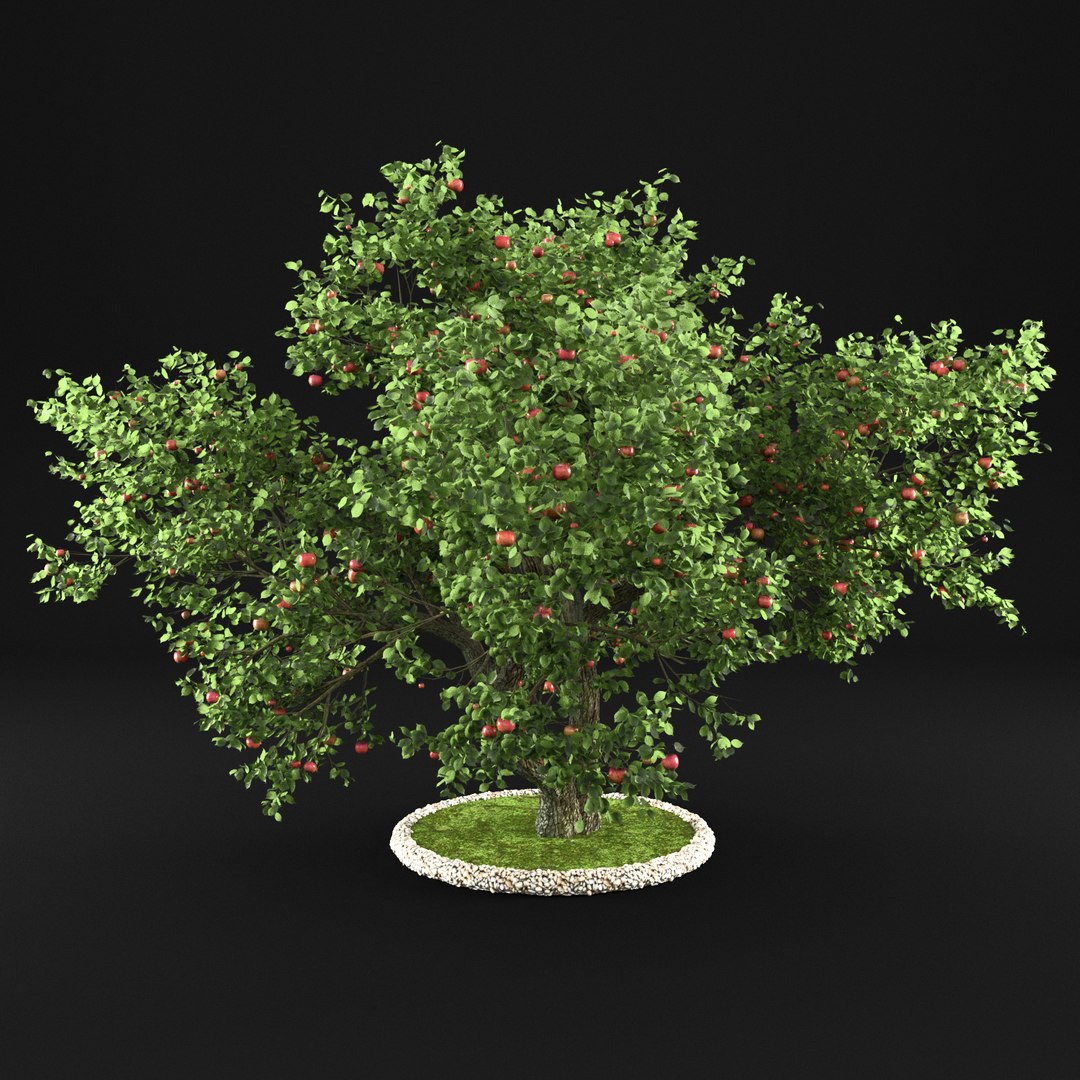 3D Apple Tree - TurboSquid 1159258
