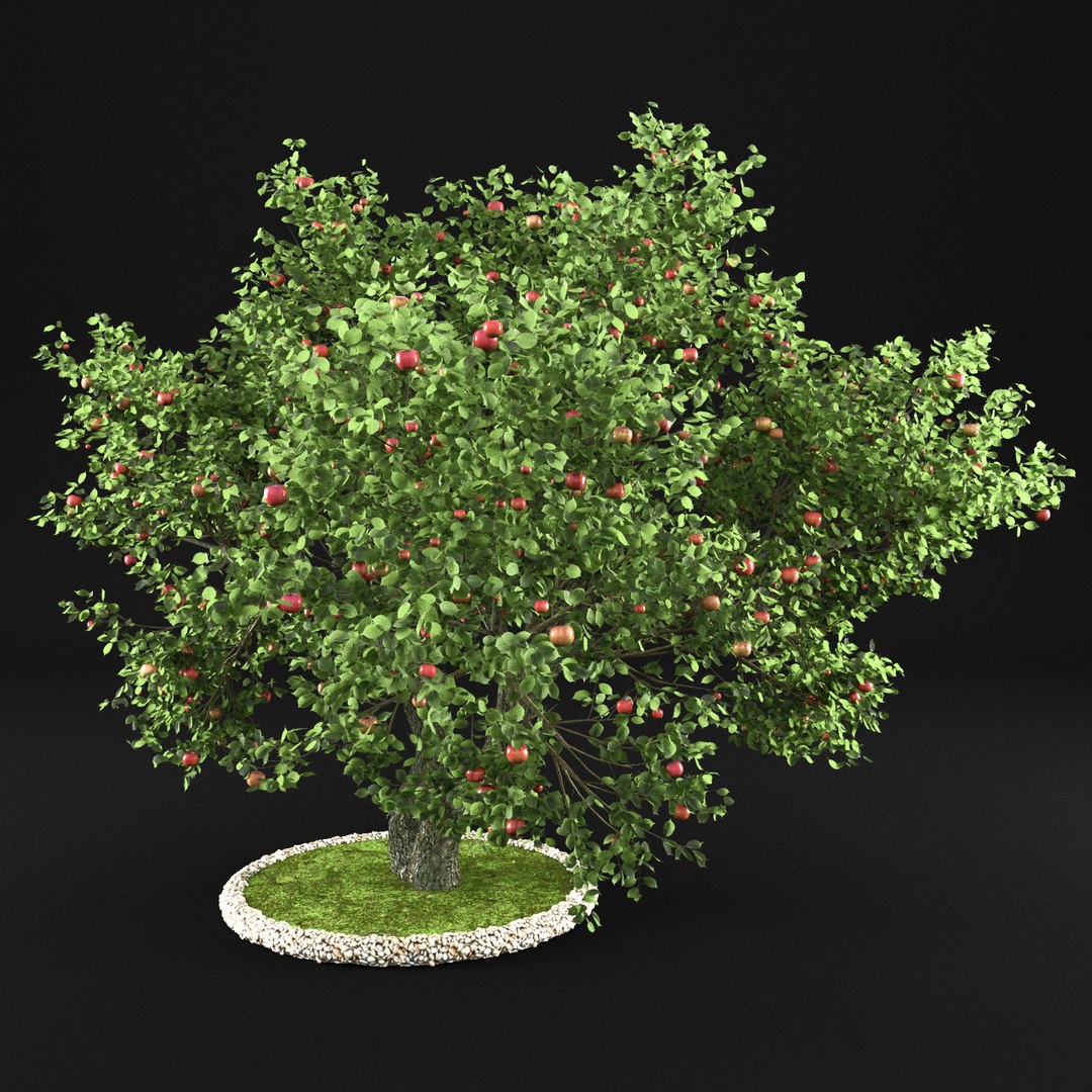 3D Apple Tree - TurboSquid 1159258