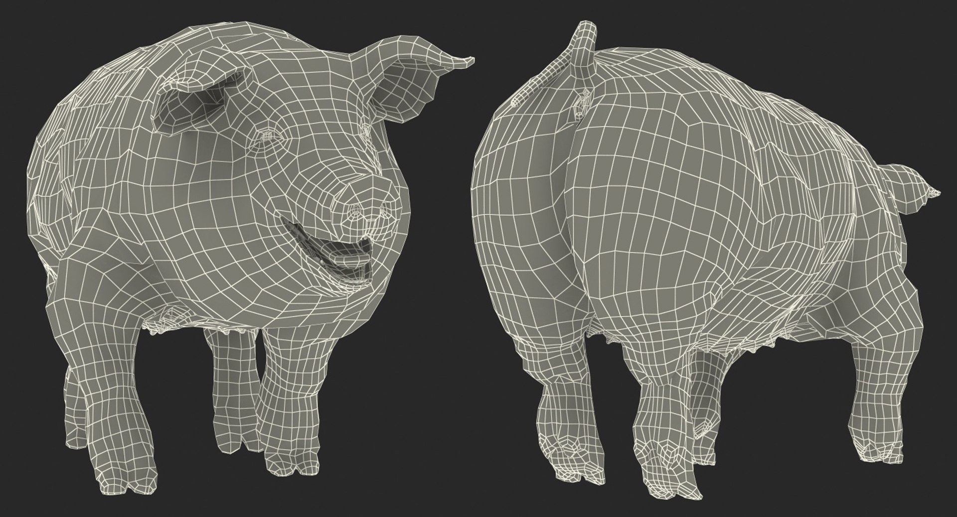 3D Model Hampshire Pig Sow Walking - TurboSquid 1355713