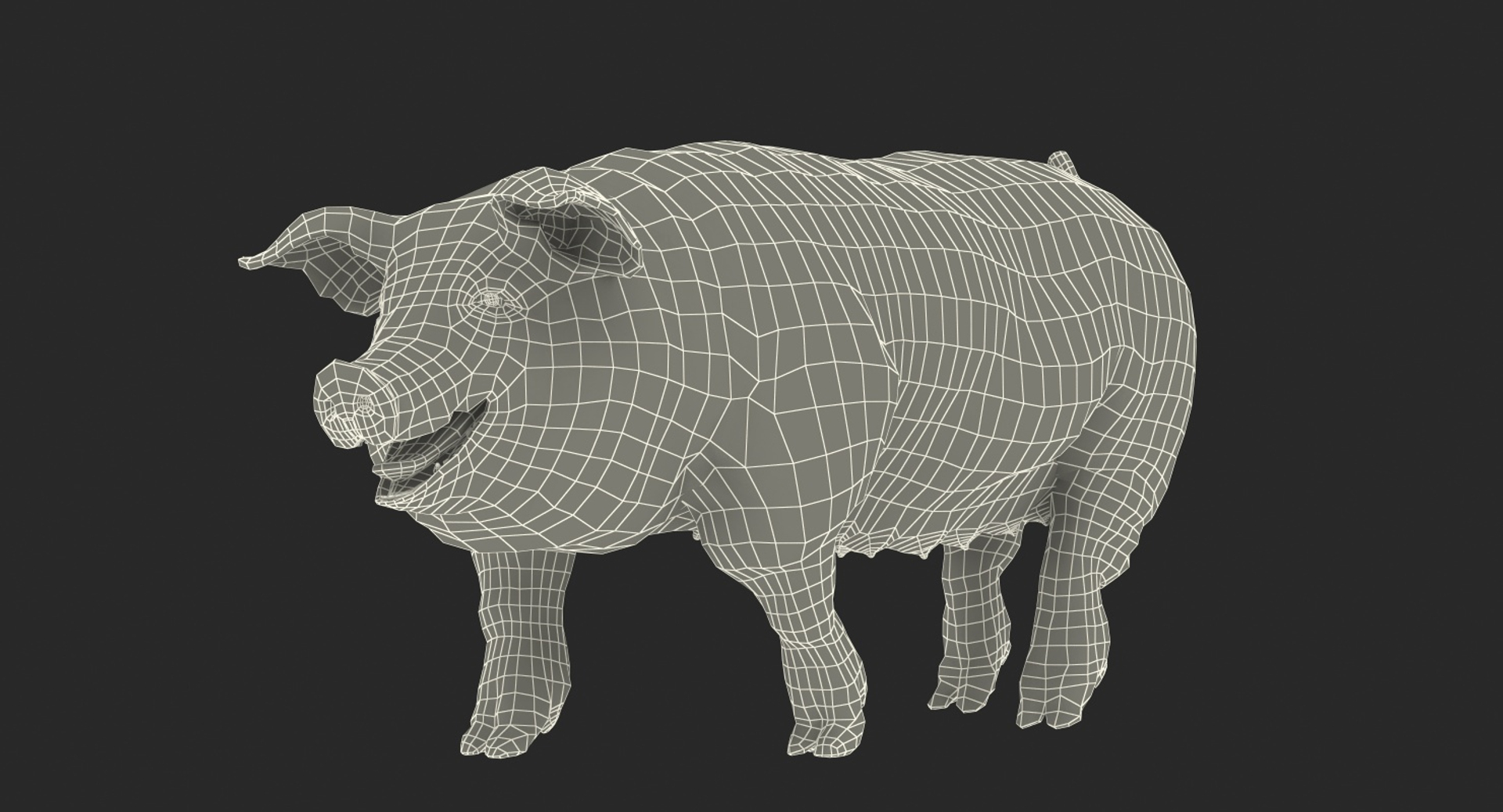 3D Model Hampshire Pig Sow Walking - TurboSquid 1355713
