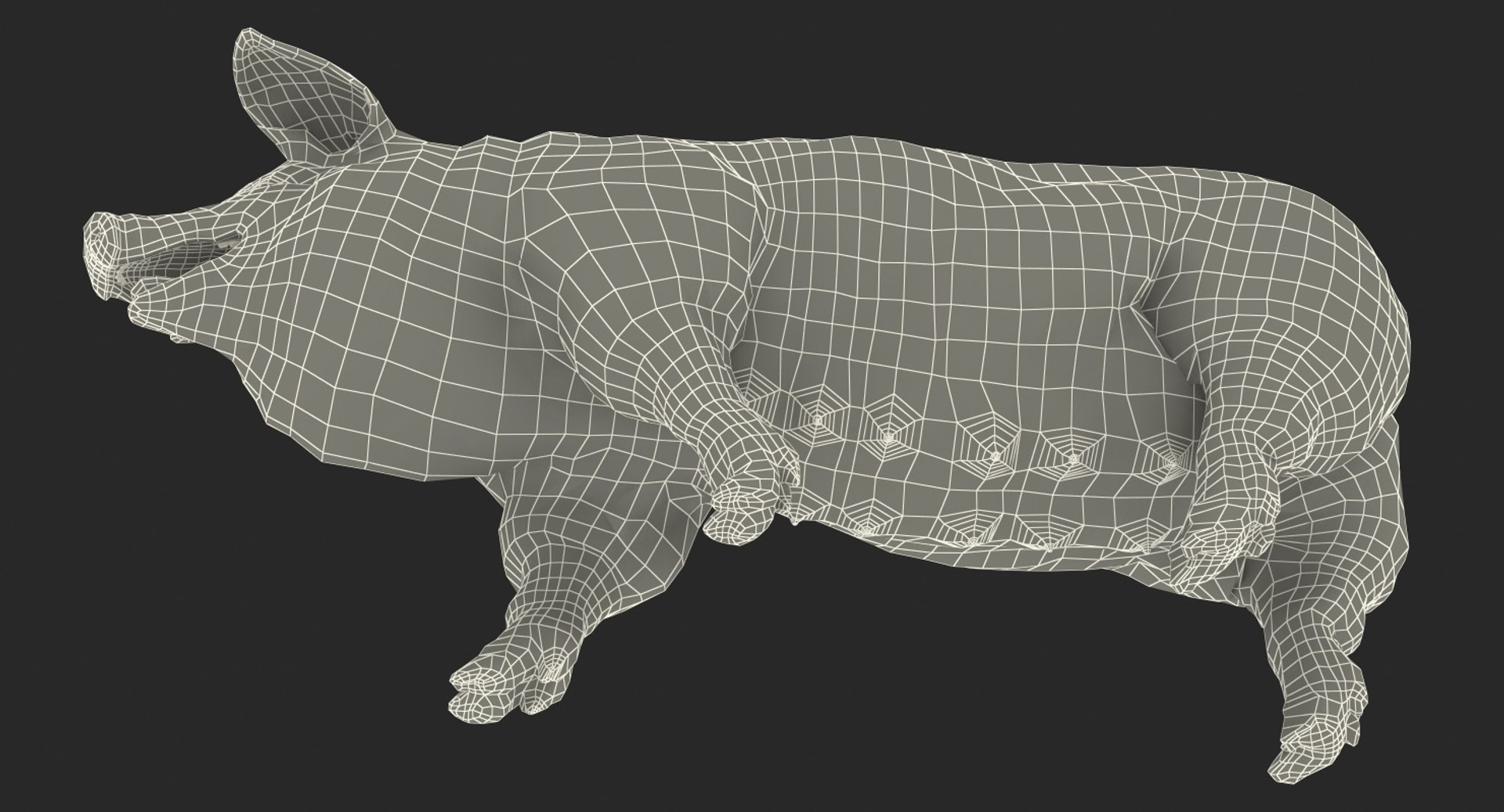 3D Model Hampshire Pig Sow Walking - TurboSquid 1355713