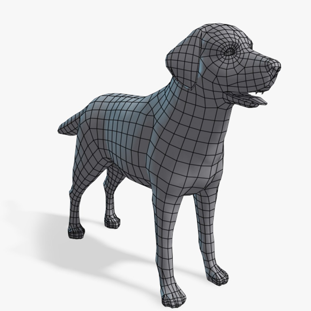 Model S Dog Labrador Black