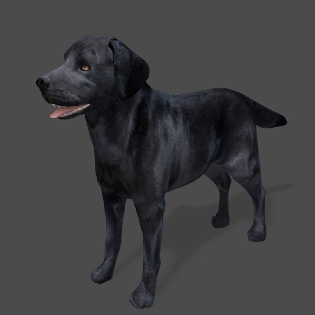 Model S Dog Labrador Black