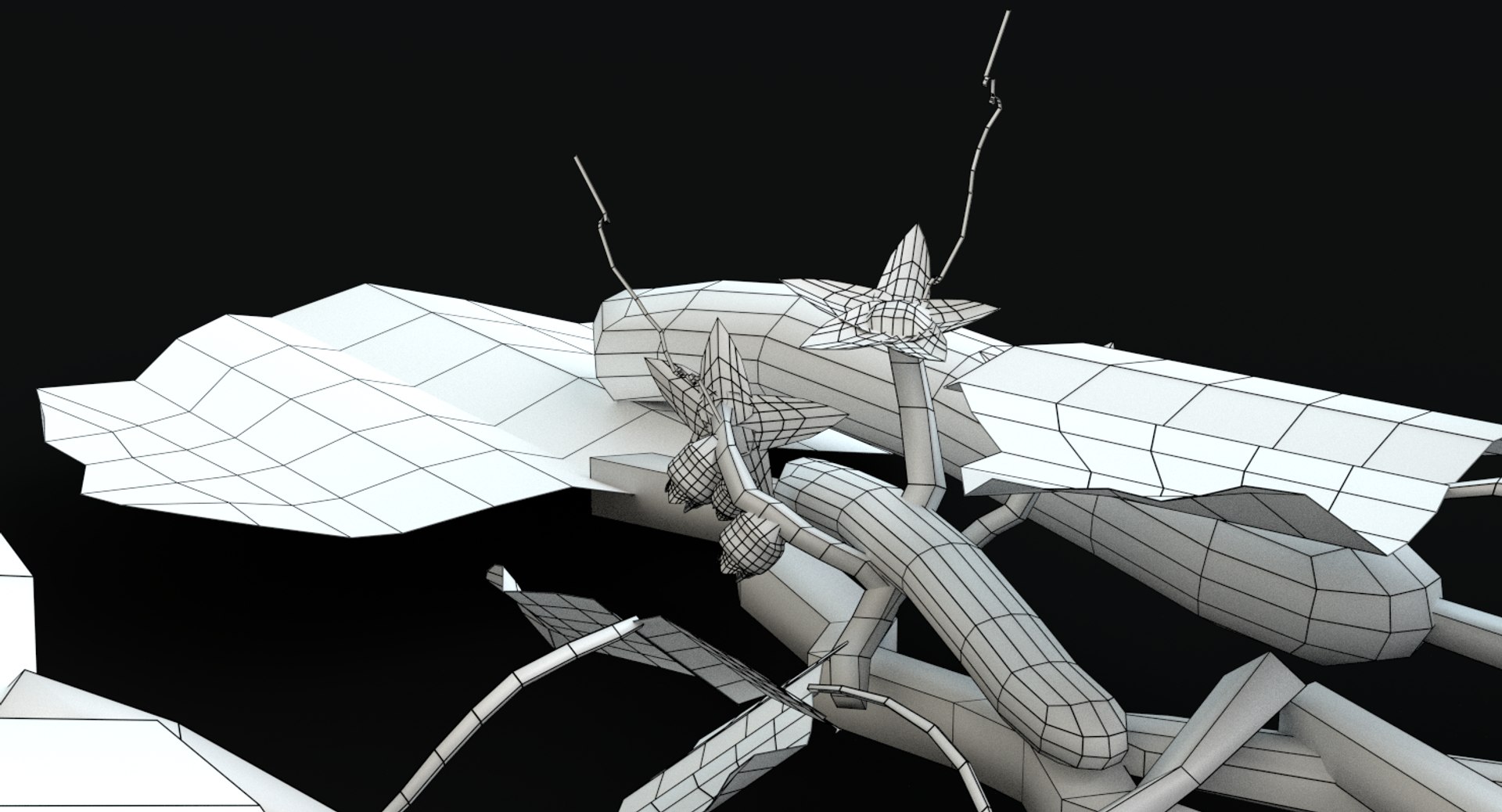 3d Cucumber Plant Model