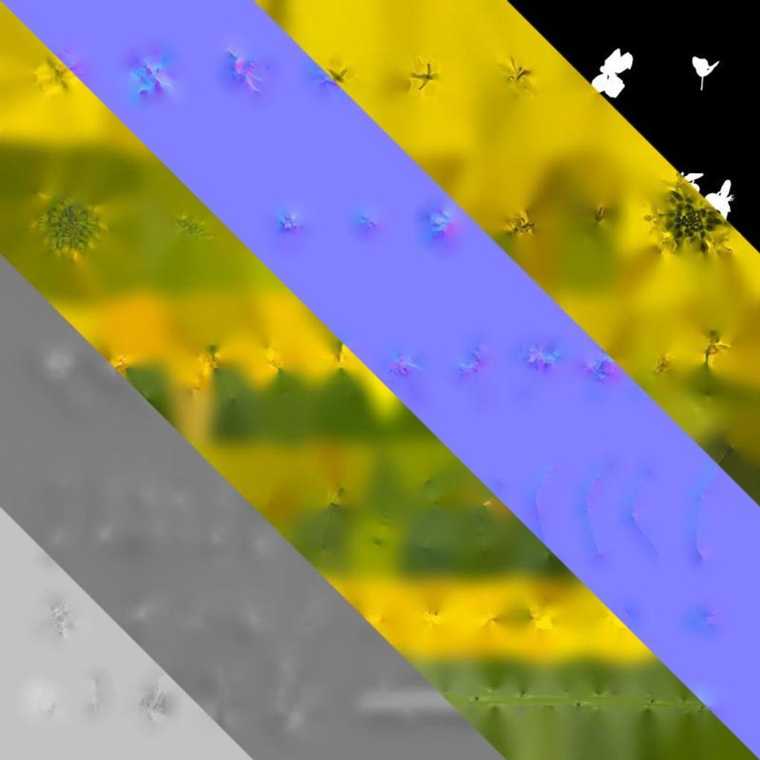 Anydrafts Brassica Napus Flower 03 Textures 3D Model - TurboSquid 2349751