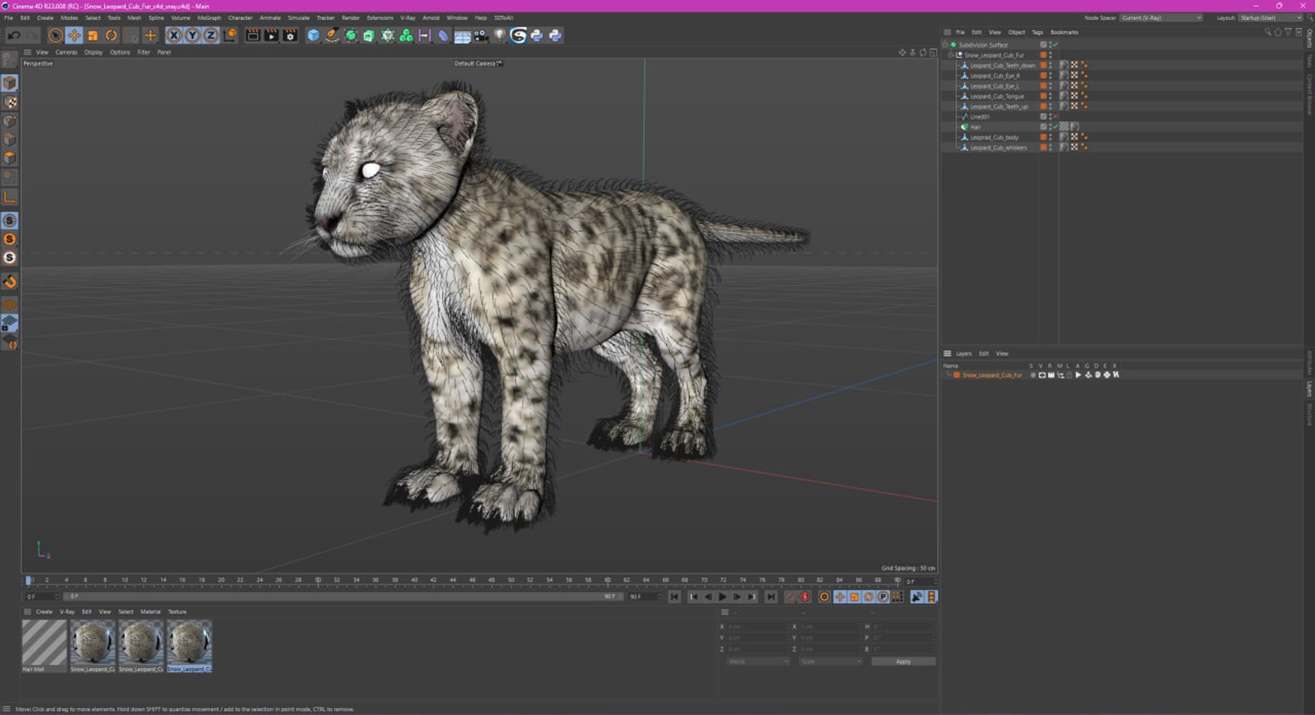Snow Leopard Cub Fur For Cinema 4D 3D - TurboSquid 2396093