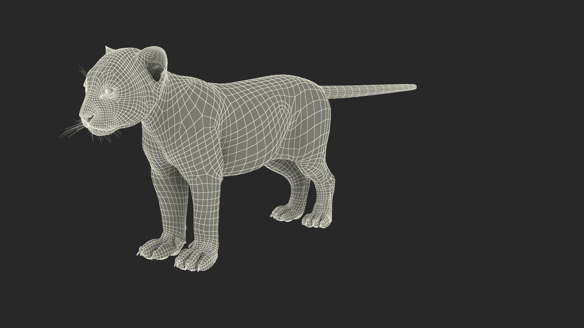 Snow Leopard Cub Fur For Cinema 4D 3D - TurboSquid 2396093