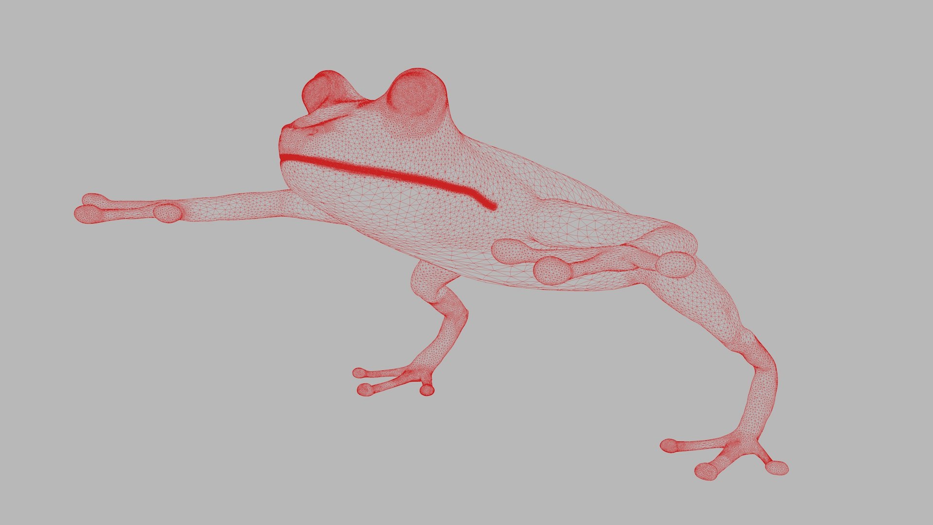 3D Frog - TurboSquid 1261357