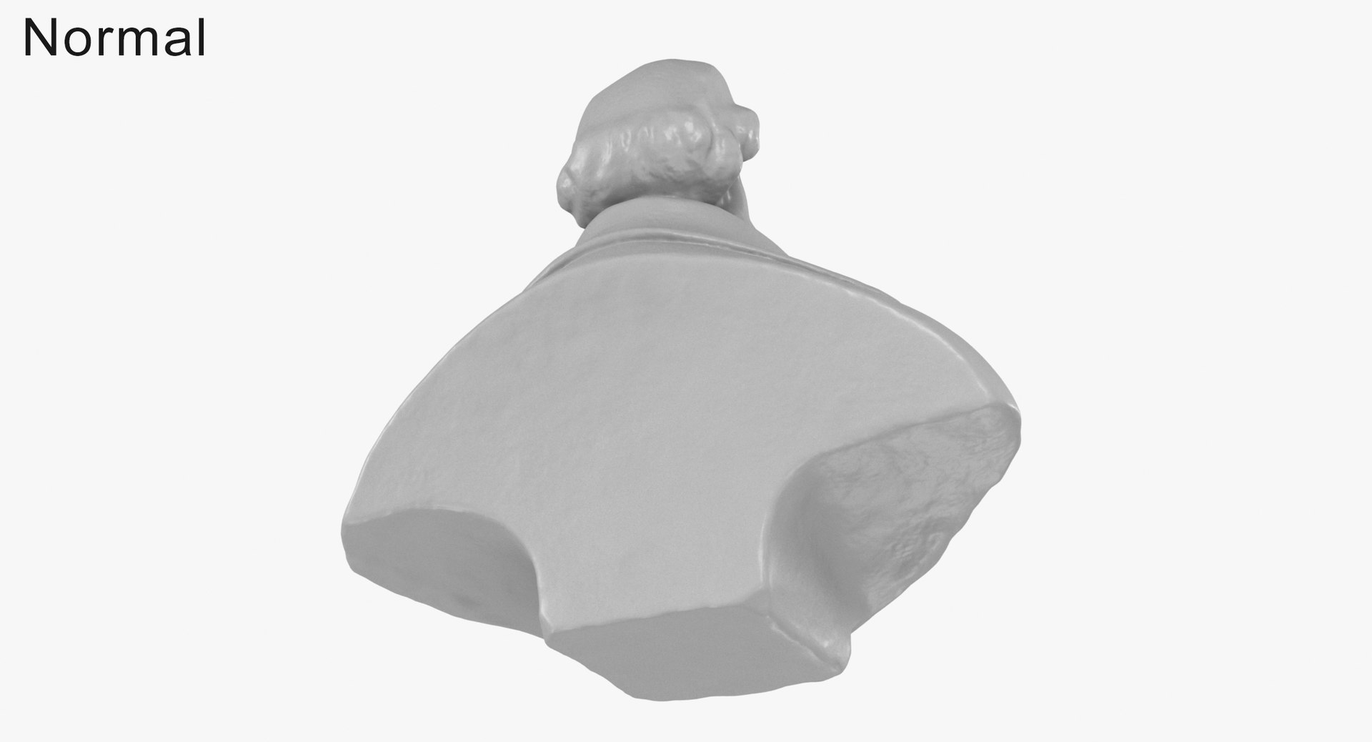 Charles Darwin Bust 3D model - TurboSquid 2014480