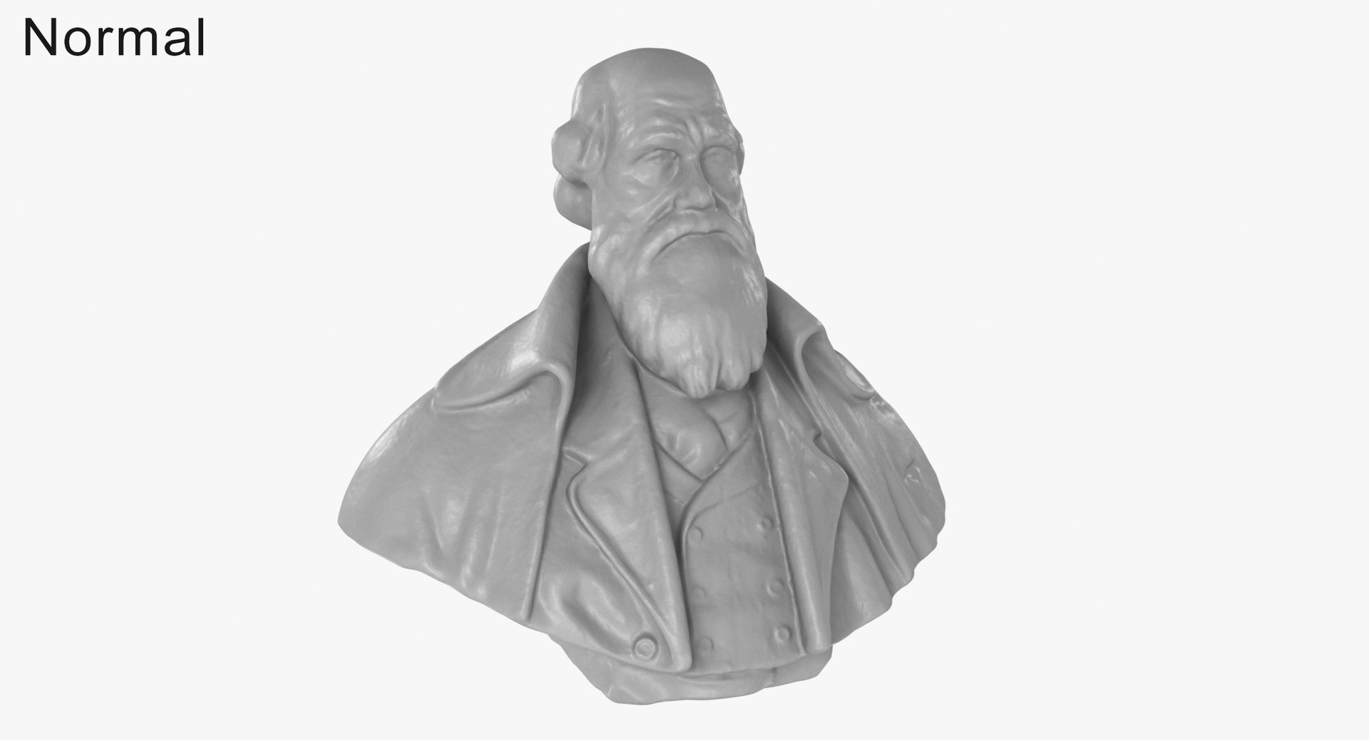 Charles Darwin Bust 3D model - TurboSquid 2014480