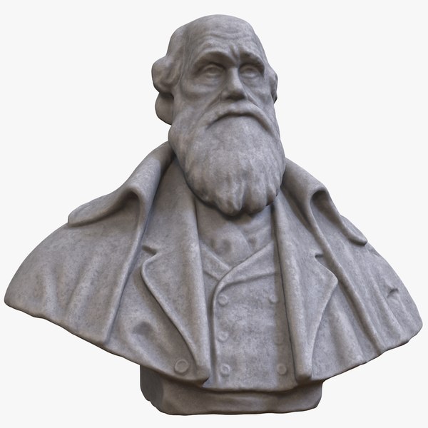 modelo 3d Busto de Charles Darwin - TurboSquid 2014480