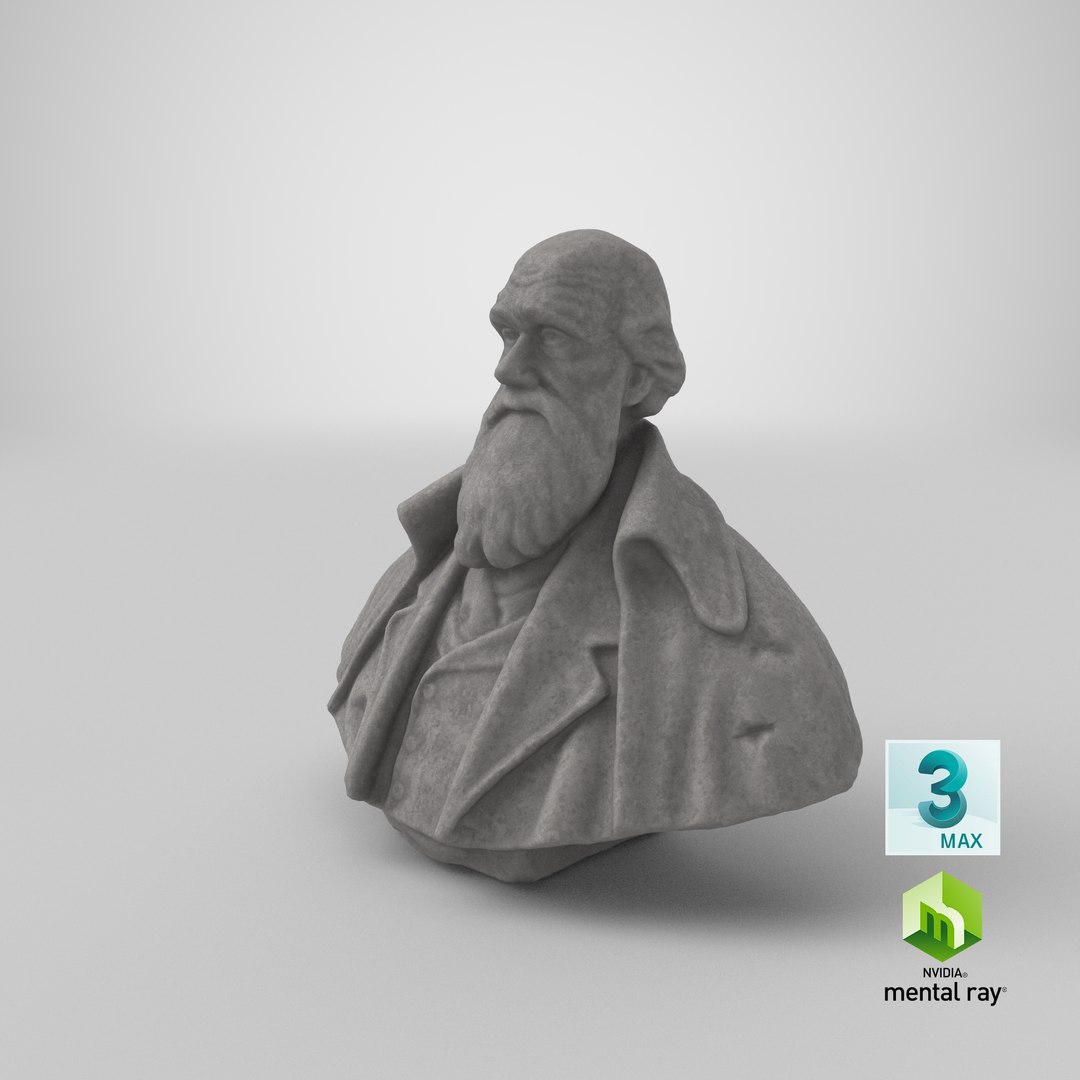 Charles Darwin Bust 3D model - TurboSquid 2014480
