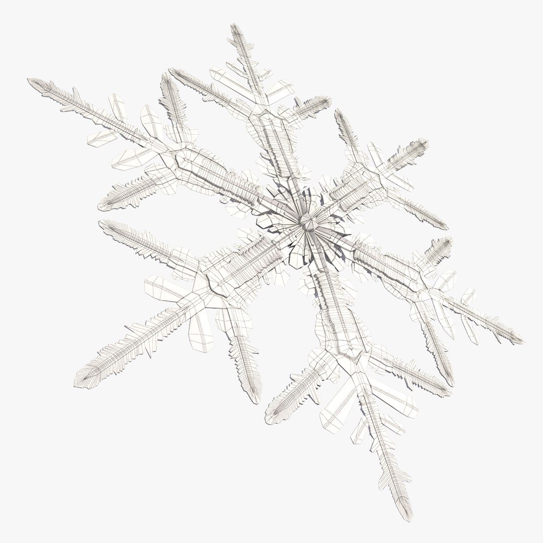 Max Snow Flake Snowflake