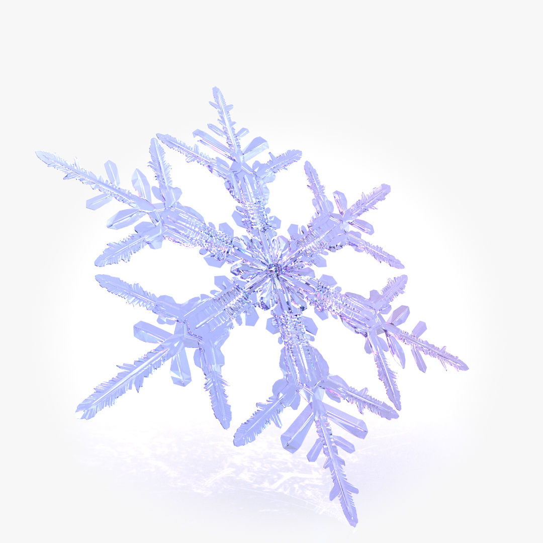Max Snow Flake Snowflake