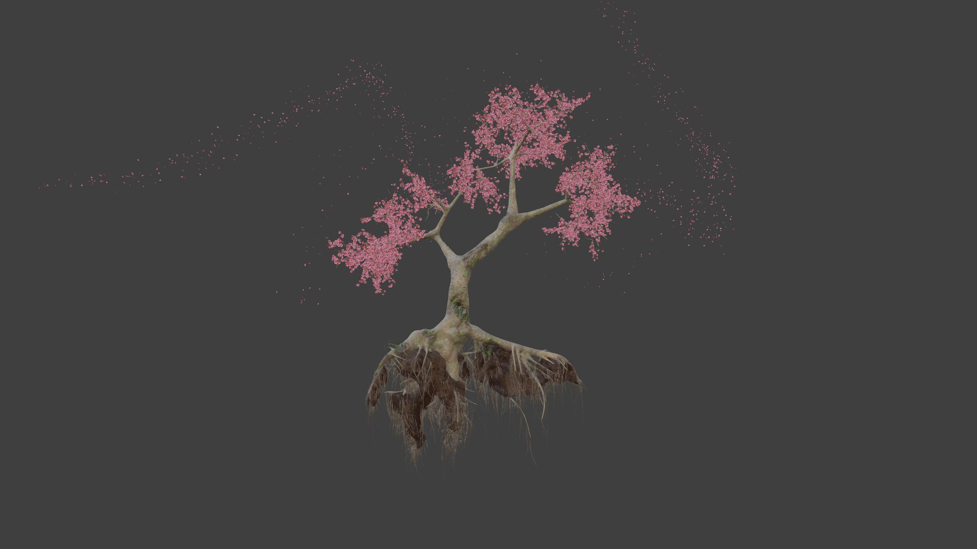 3D tree cherry blossom - TurboSquid 1687176