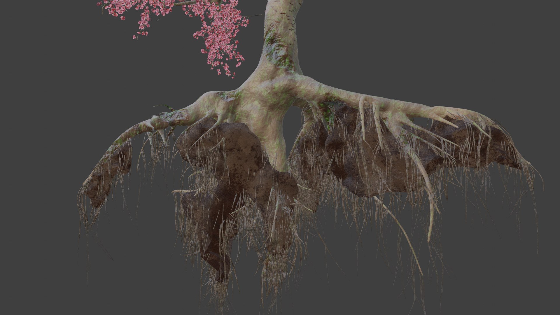 3D tree cherry blossom - TurboSquid 1687176