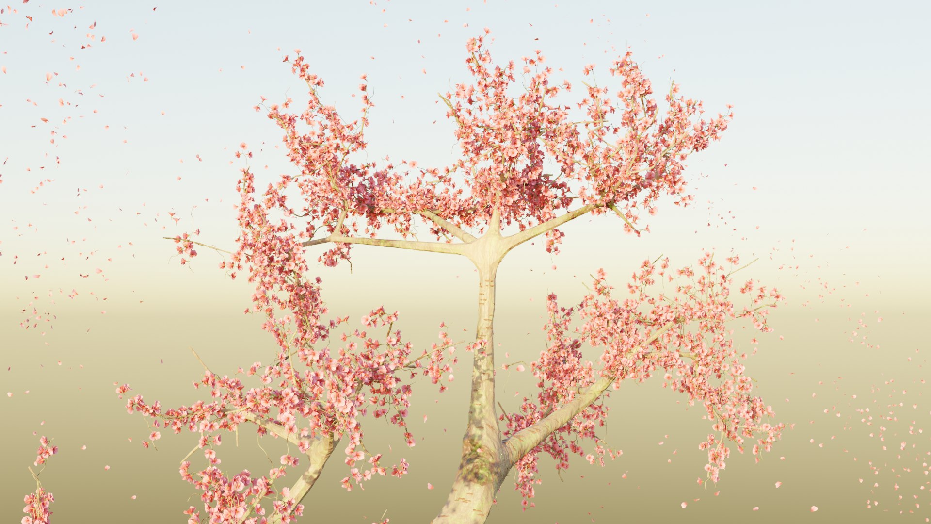 3D tree cherry blossom - TurboSquid 1687176