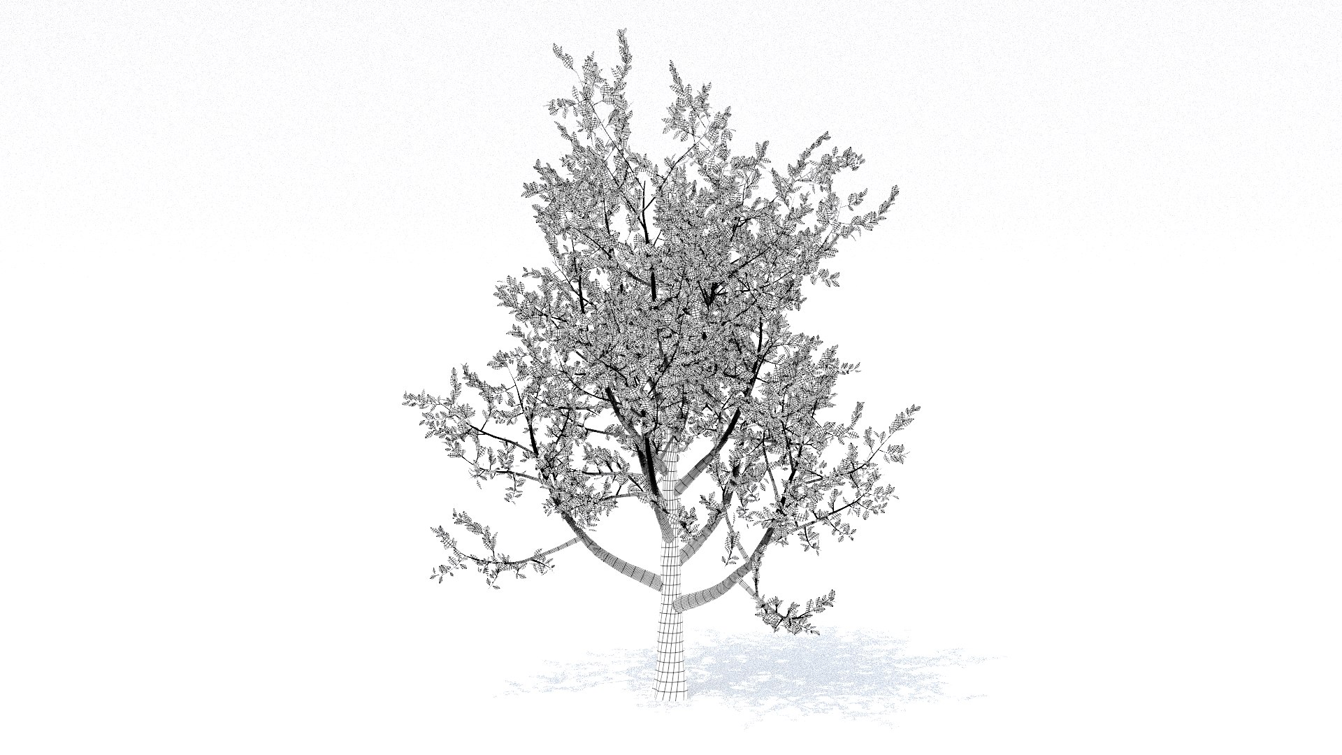 3D 5 Elm Trees Set Model - TurboSquid 2173826
