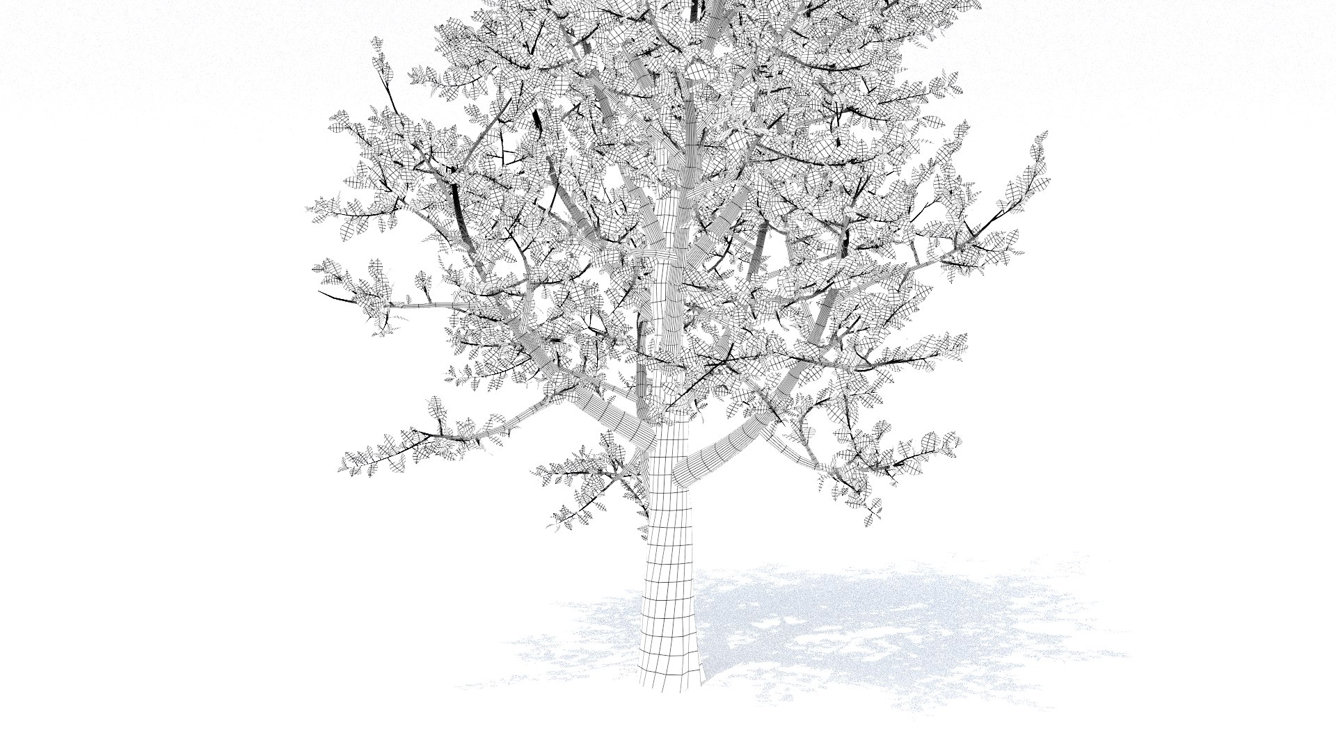3D 5 Elm Trees Set Model - TurboSquid 2173826