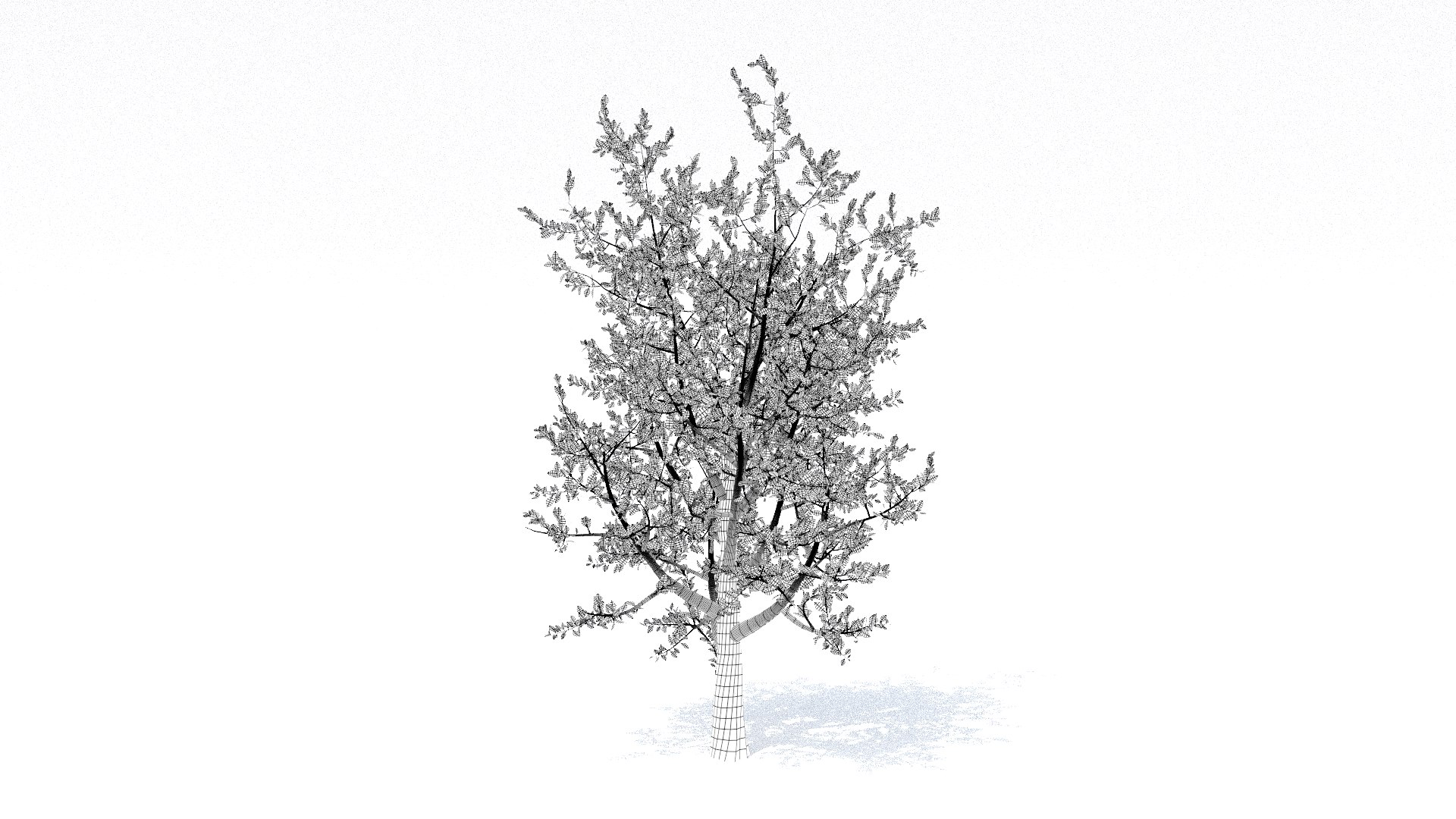 3D 5 Elm Trees Set Model - TurboSquid 2173826