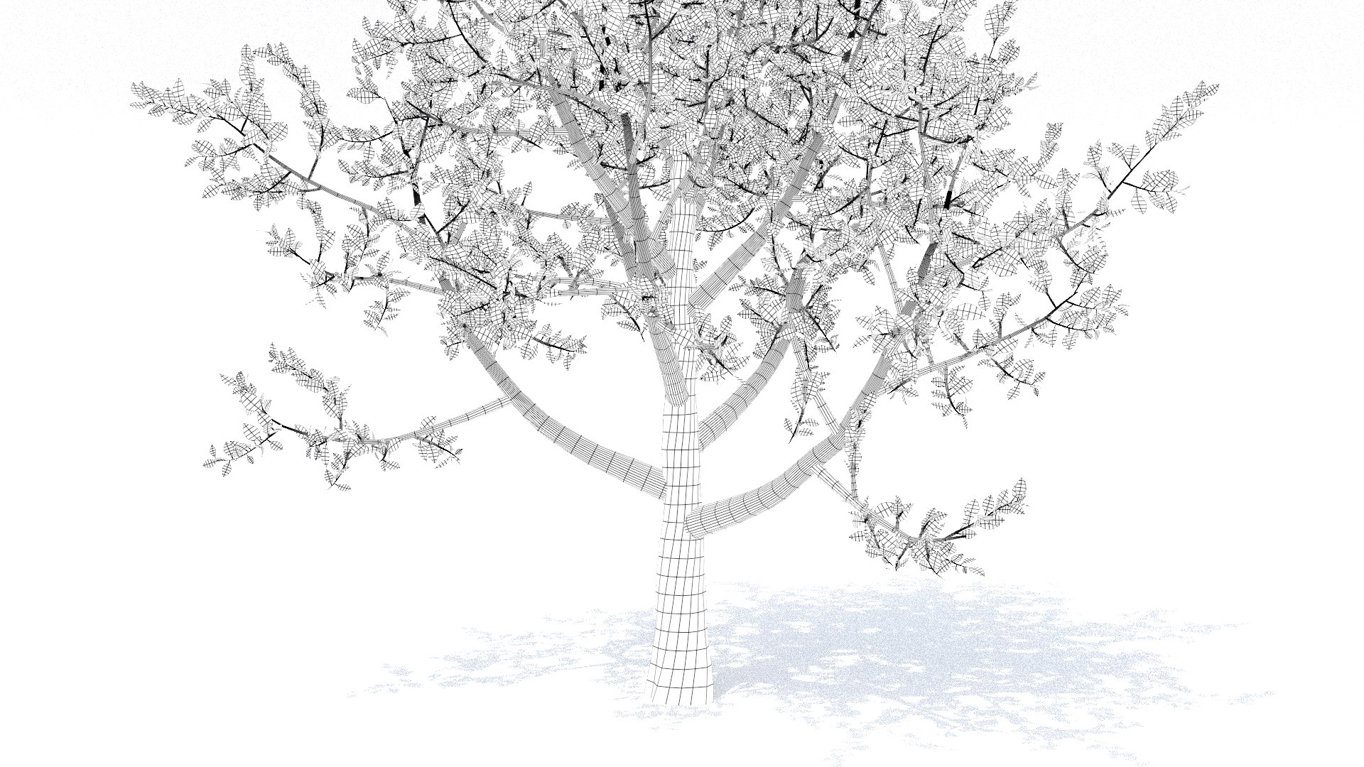 3D 5 Elm Trees Set Model - TurboSquid 2173826