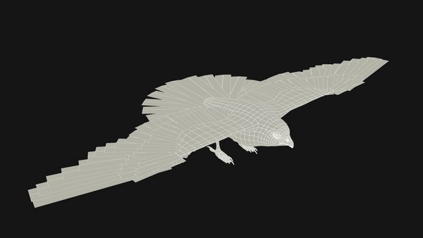 3D model falcon animations - TurboSquid 1507304