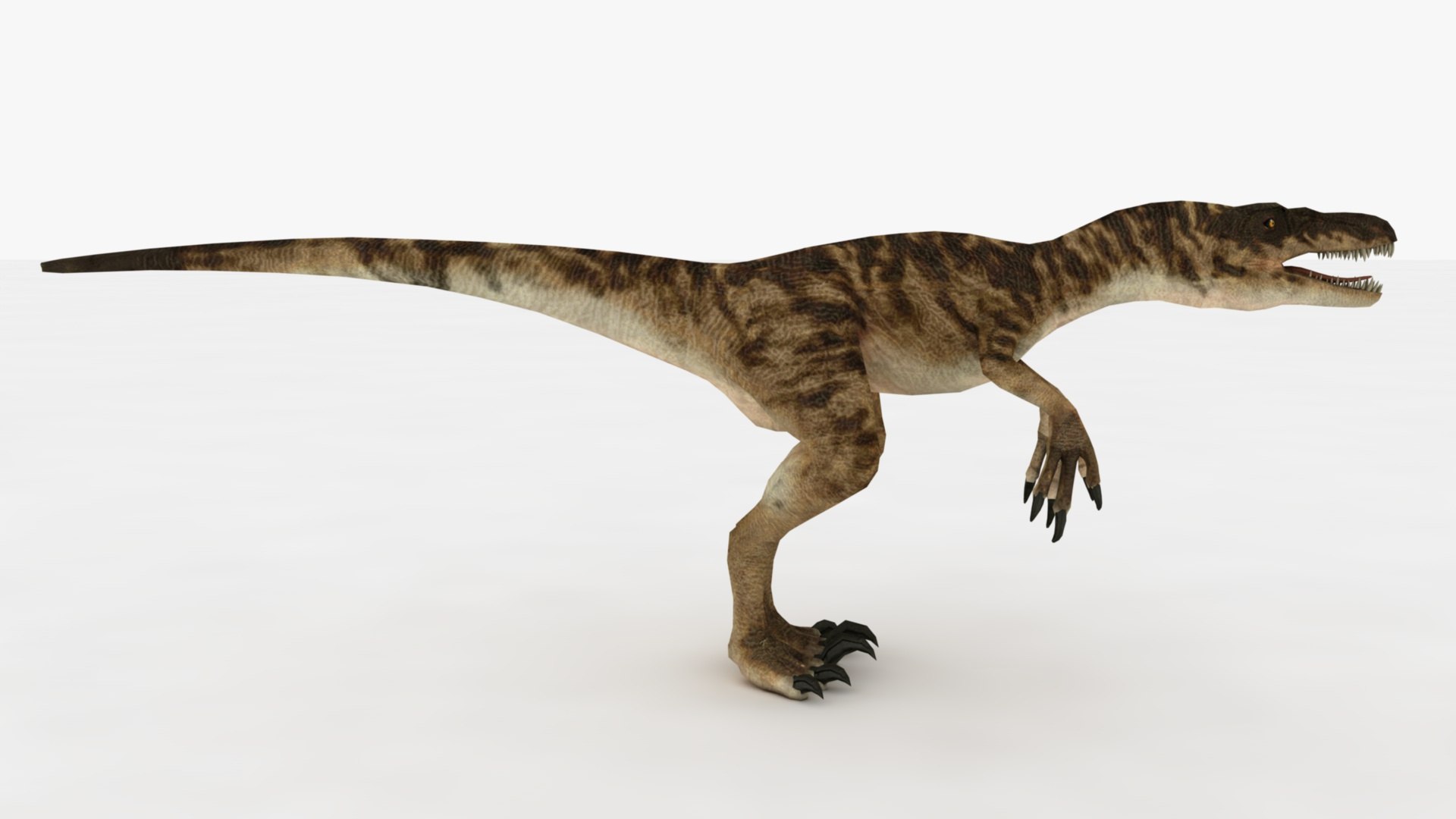 3D Raptor Rigged And Animated - TurboSquid 2348395