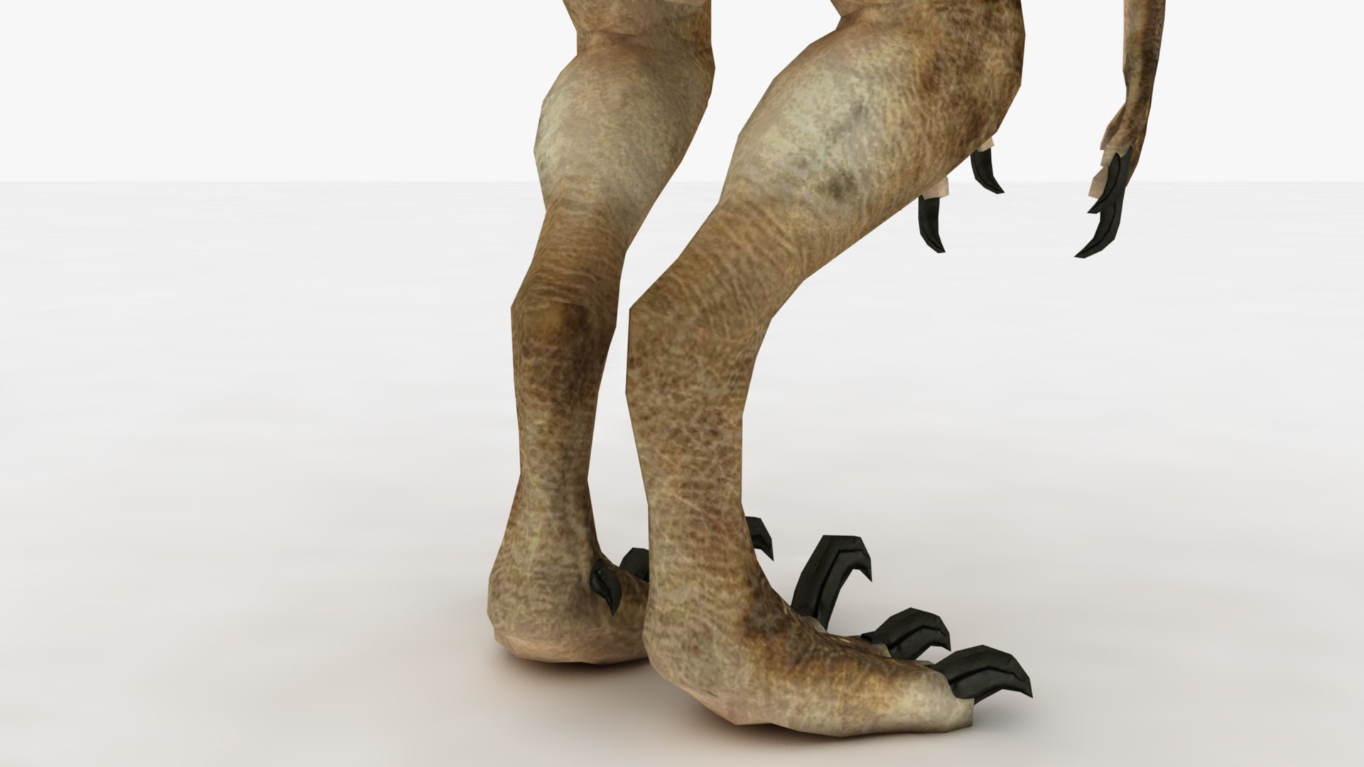 3D Raptor Rigged And Animated - TurboSquid 2348395