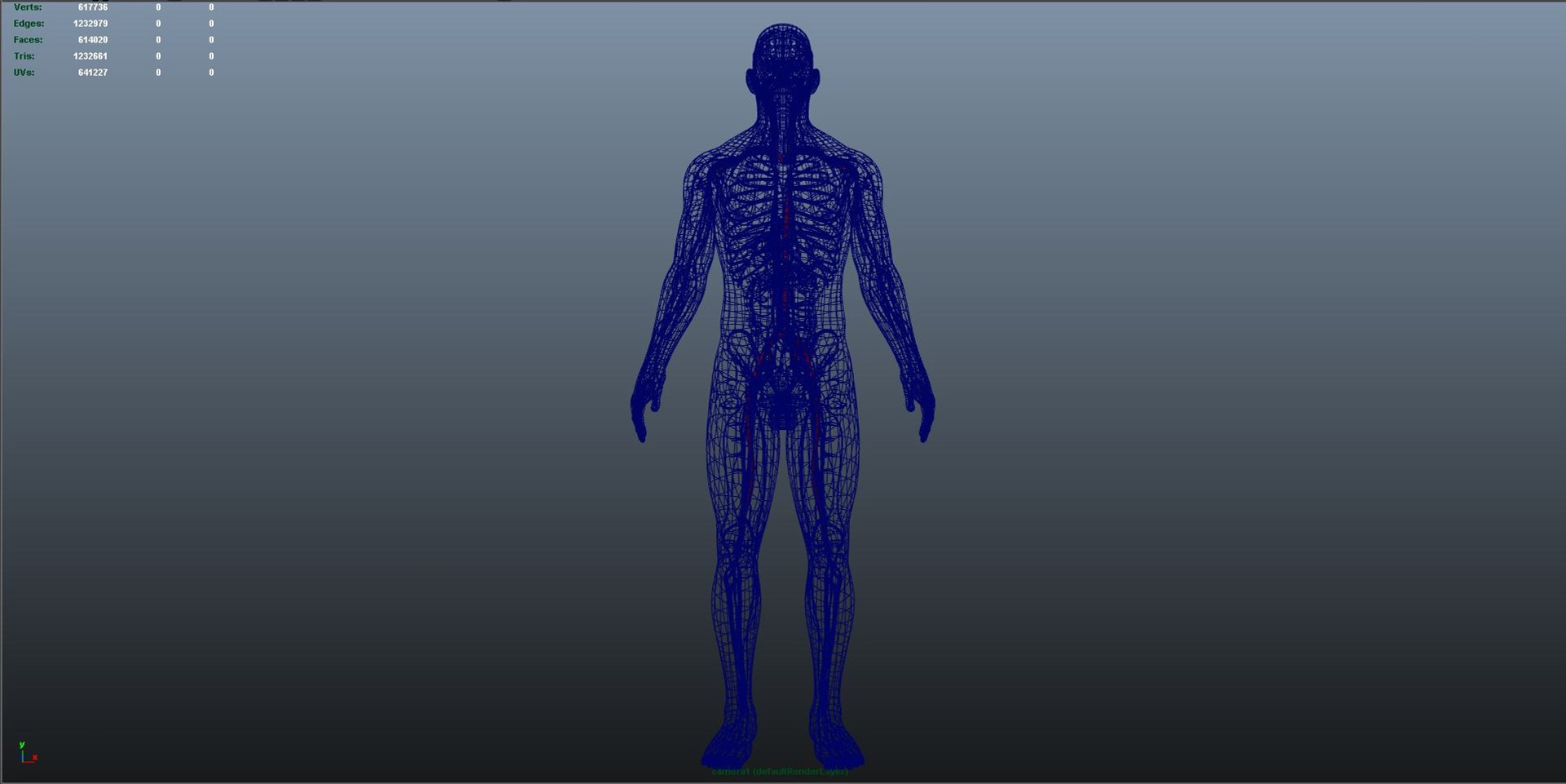Body Arteries Veins 3D Model - TurboSquid 1216981