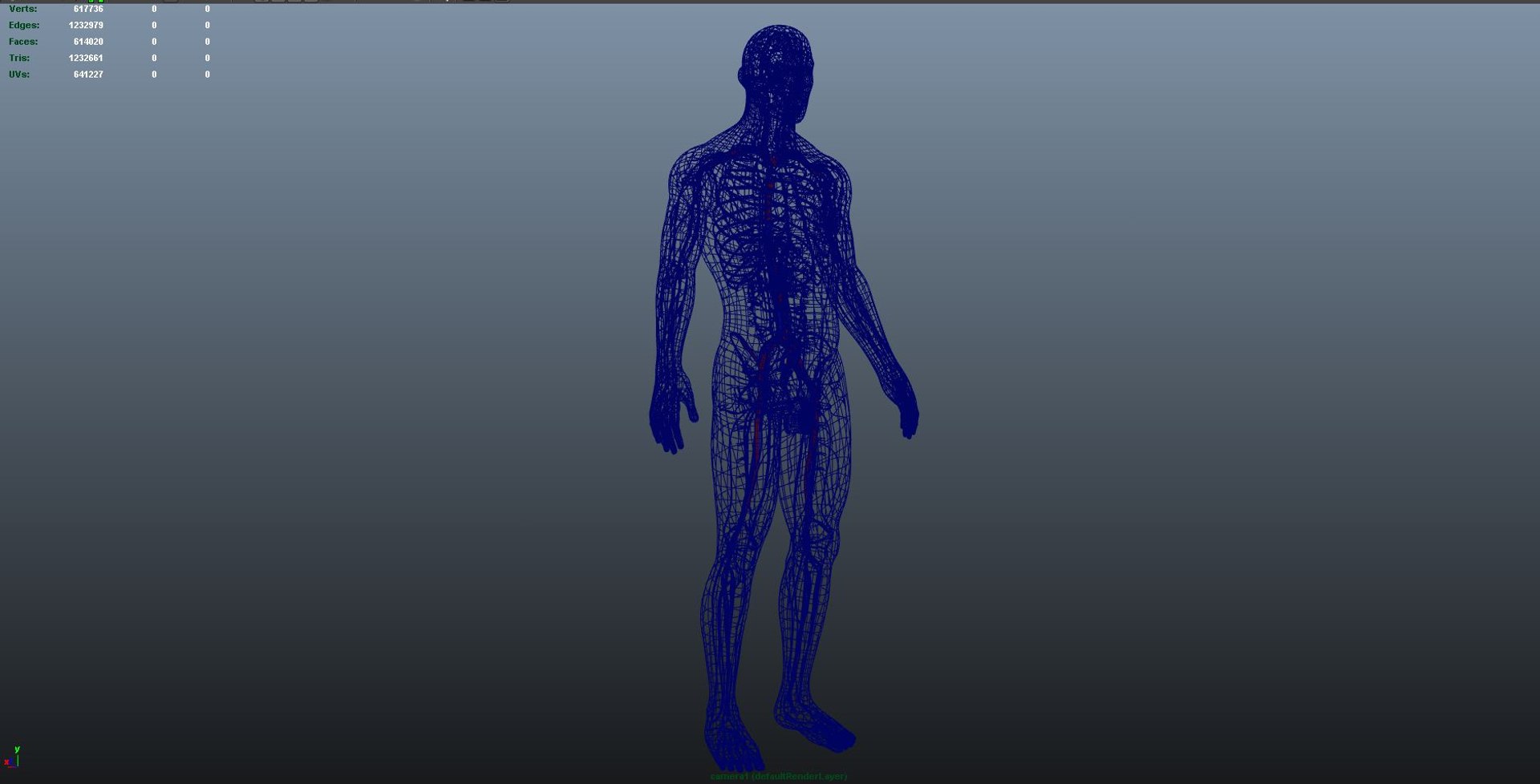 Body arteries veins 3D model - TurboSquid 1216981