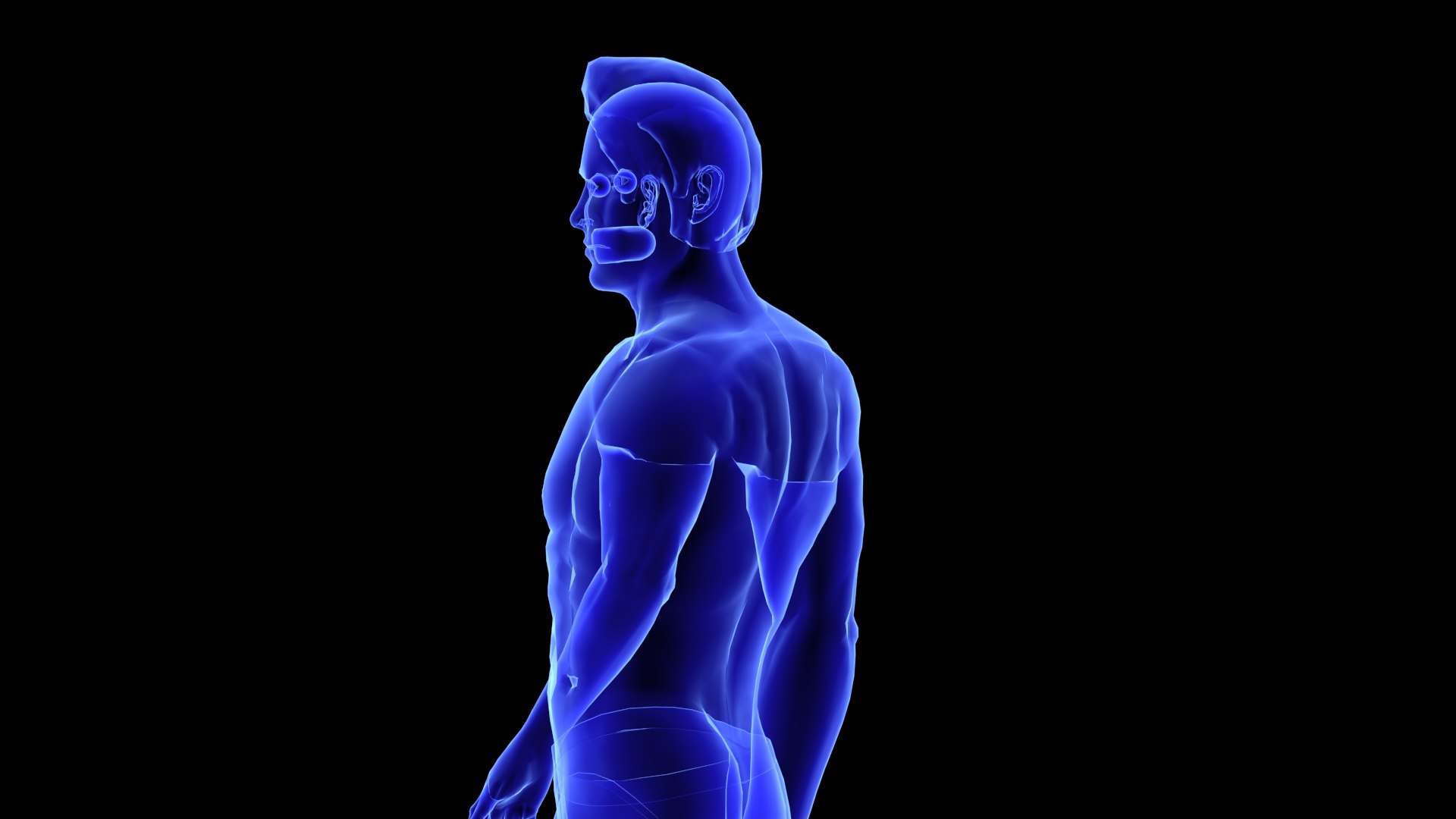 Human Male Body Blue Transparent Shaded Model 3D Model - TurboSquid 2230895