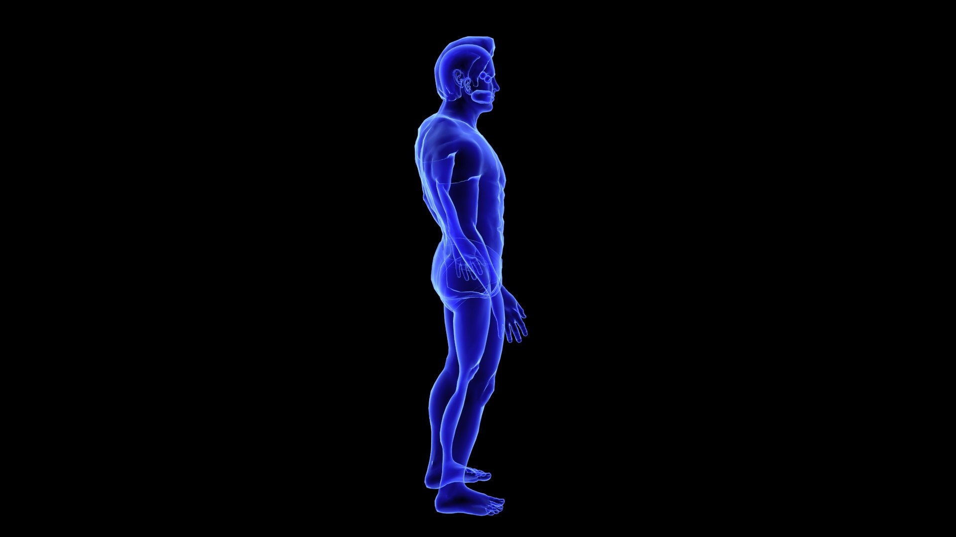 Human Male Body Blue Transparent Shaded Model 3D Model - TurboSquid 2230895